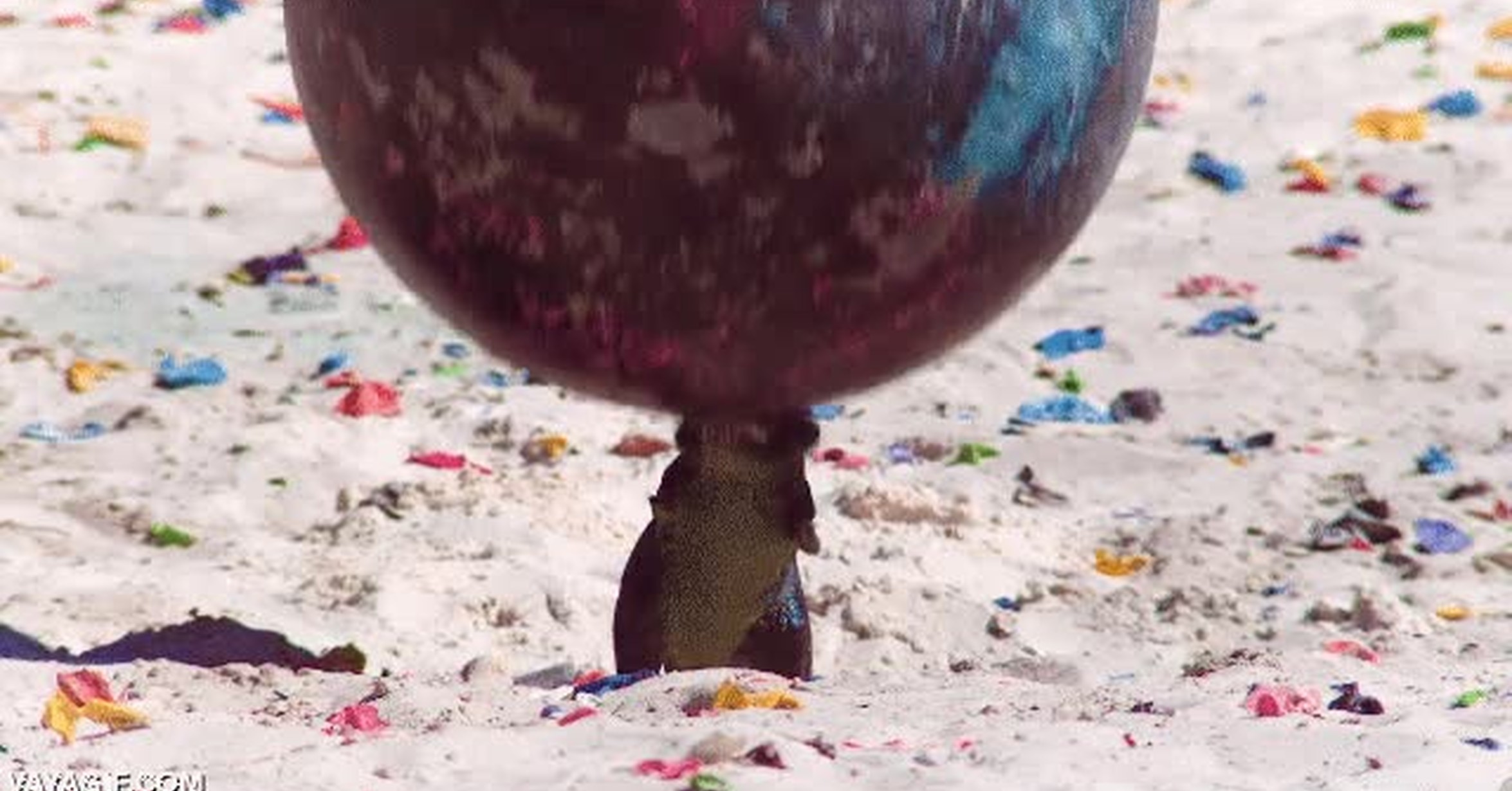 ¡Vaya GIF! / Imágenes exclusivas del meteorito que mató a todos los ...