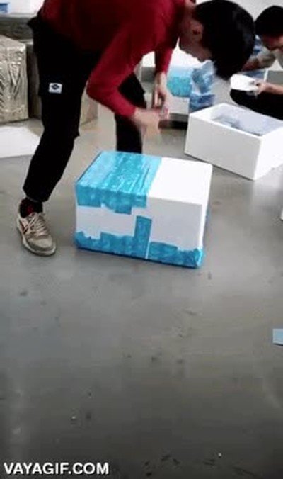 ¡Vaya GIF! / Ya se nota que Cuatro pertenece a Telecirco