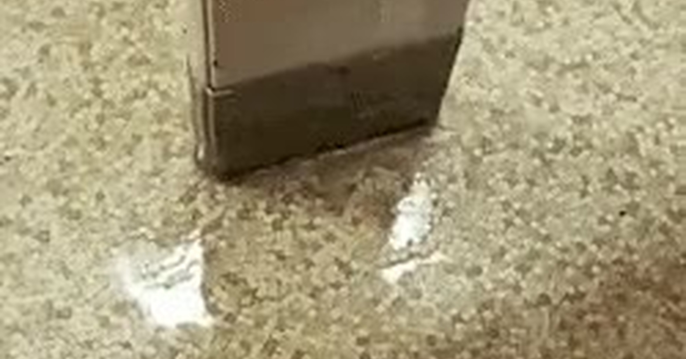 ¡Vaya GIF! / Lo que realmente pasa en el lavabo de hombres