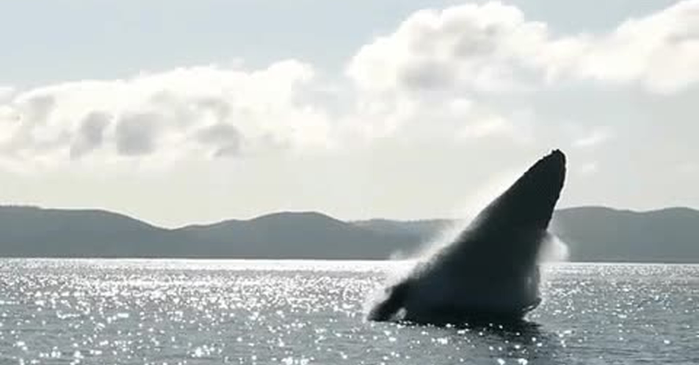 ¡Vaya GIF! / Yo cuando me tiro a la cama cuando llego cansado del curro
