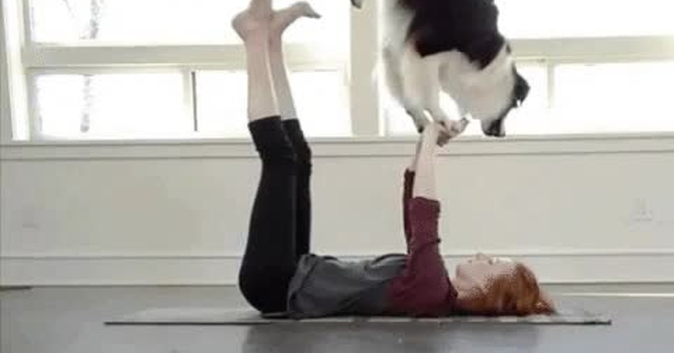 ¡Vaya GIF! / Este perro es el mejor compañero de acroyoga