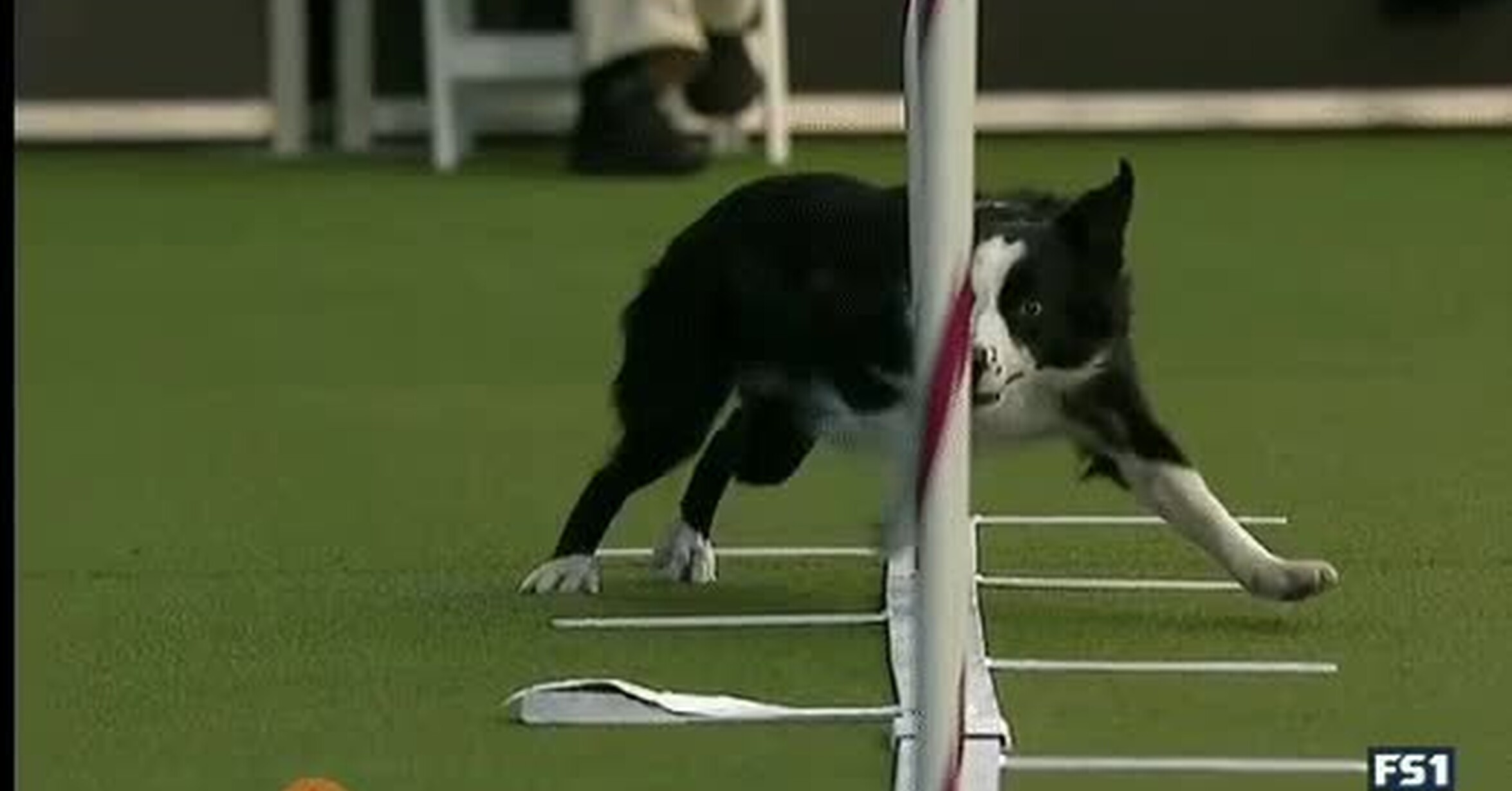 ¡Vaya GIF! / Es una pasada ver la rapidez a la que se mueve un Border ...