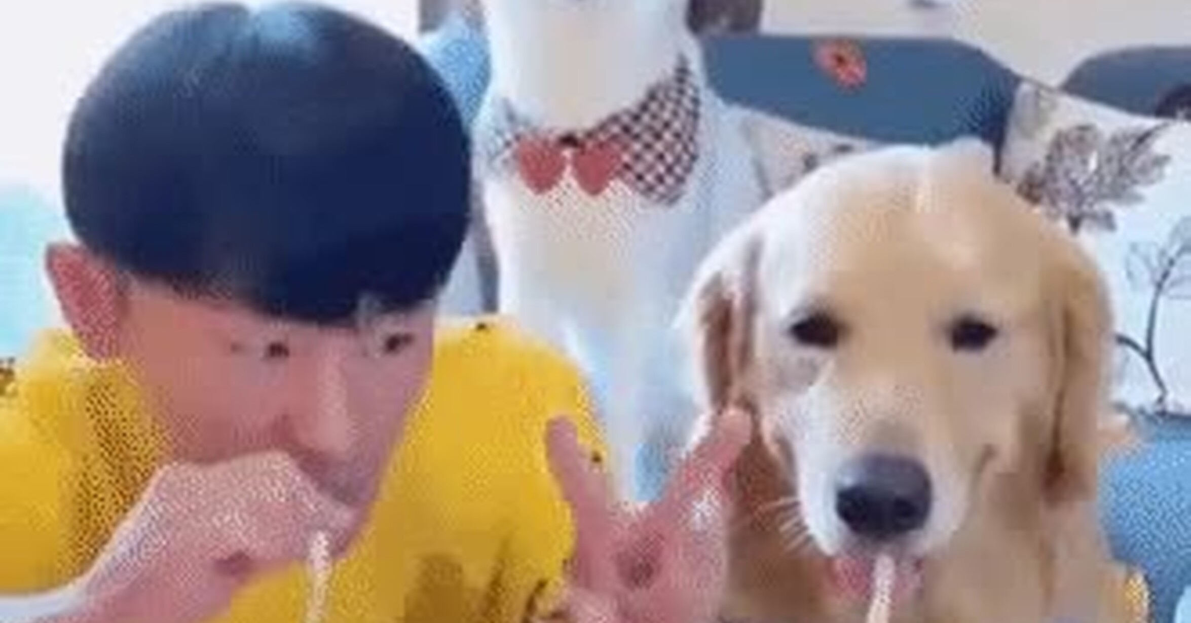 ¡Vaya GIF! / Concurso de comer rápido con tu perro