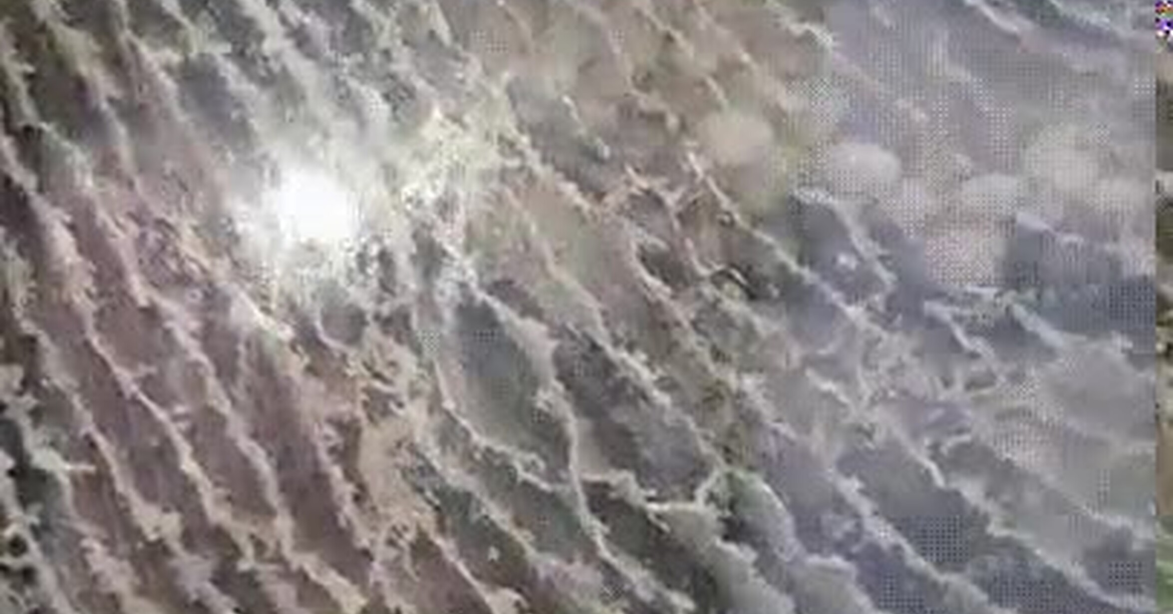 ¡Vaya GIF! / Así se ve un nido desde dentro