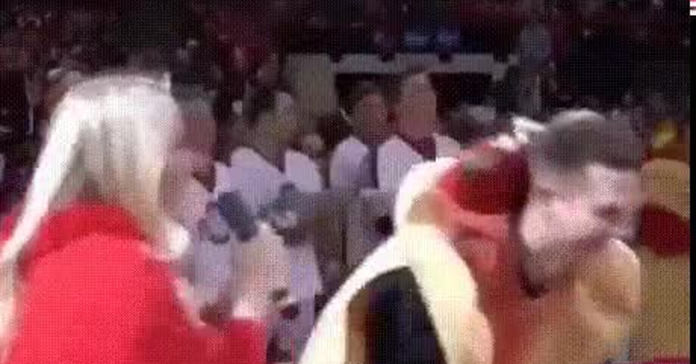 ¡Vaya GIF! / La gente se vuelve loca