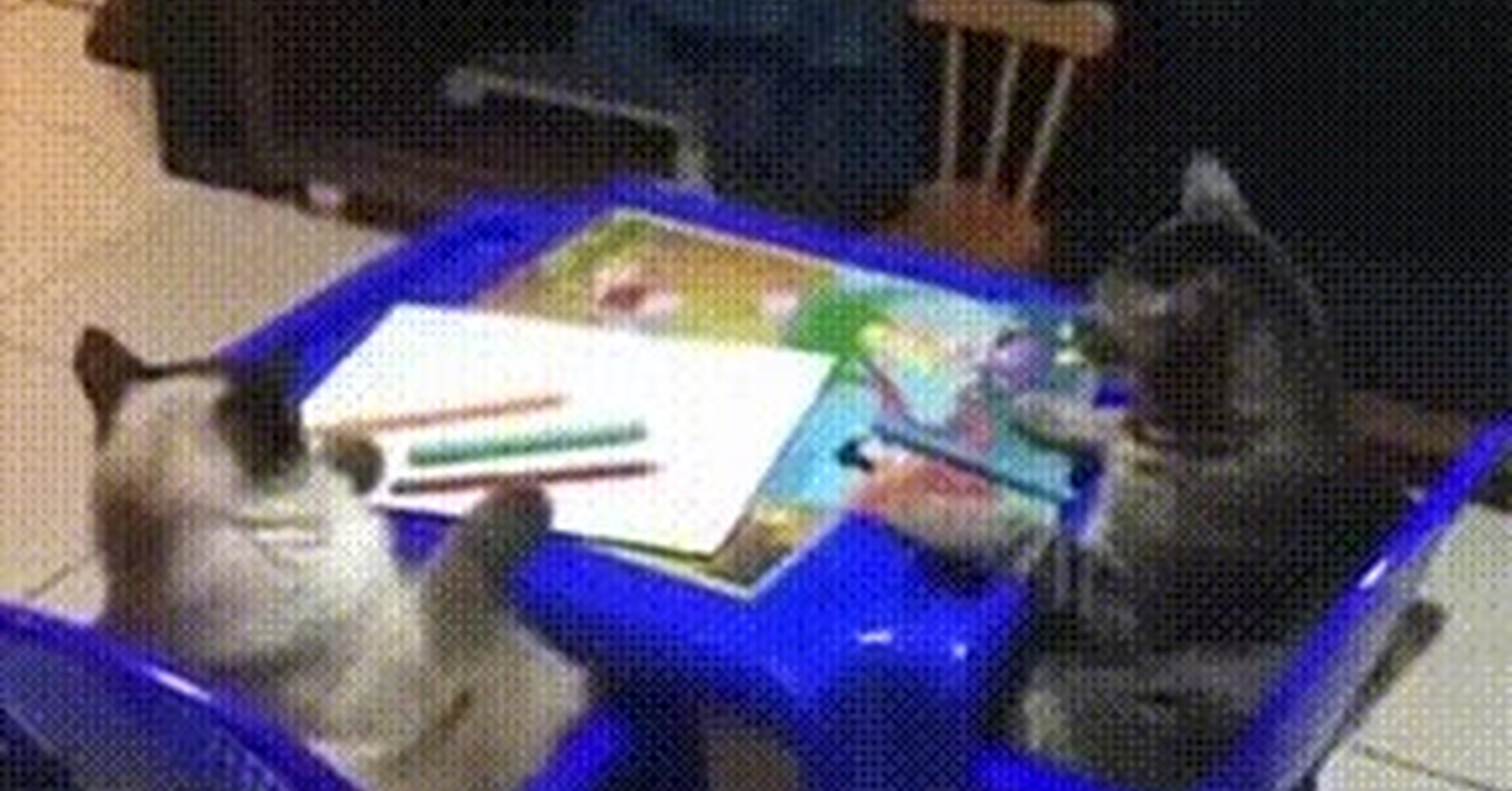 ¡Vaya GIF! / Así me siento cuando me intentan explicar algo de matemáticas