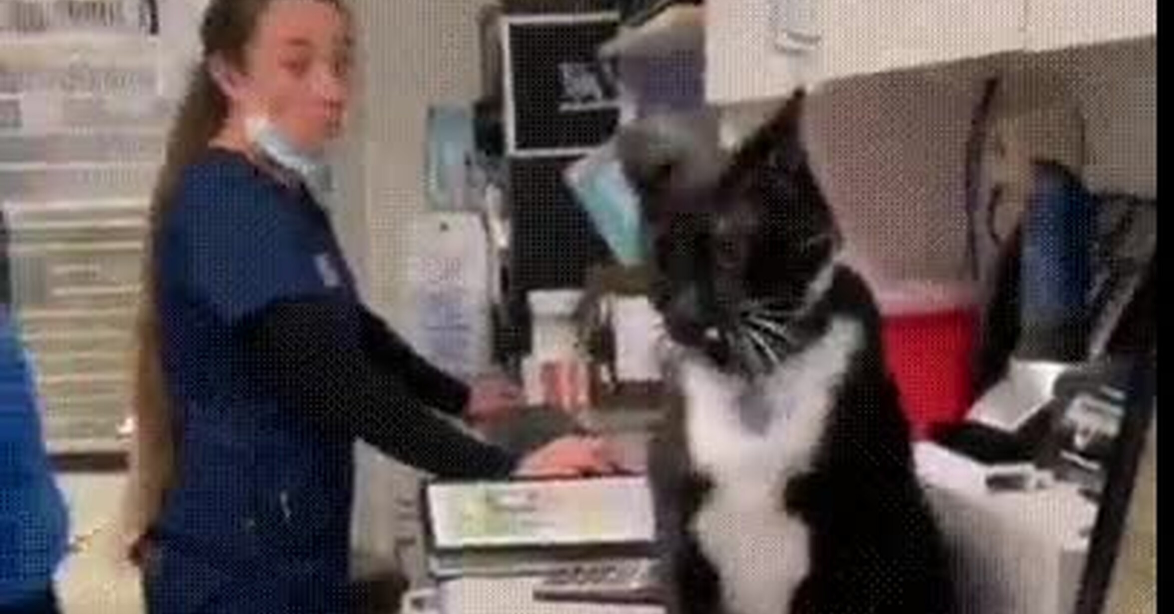 ¡Vaya GIF! / Va a ser complicado terminar la jornada laboral así