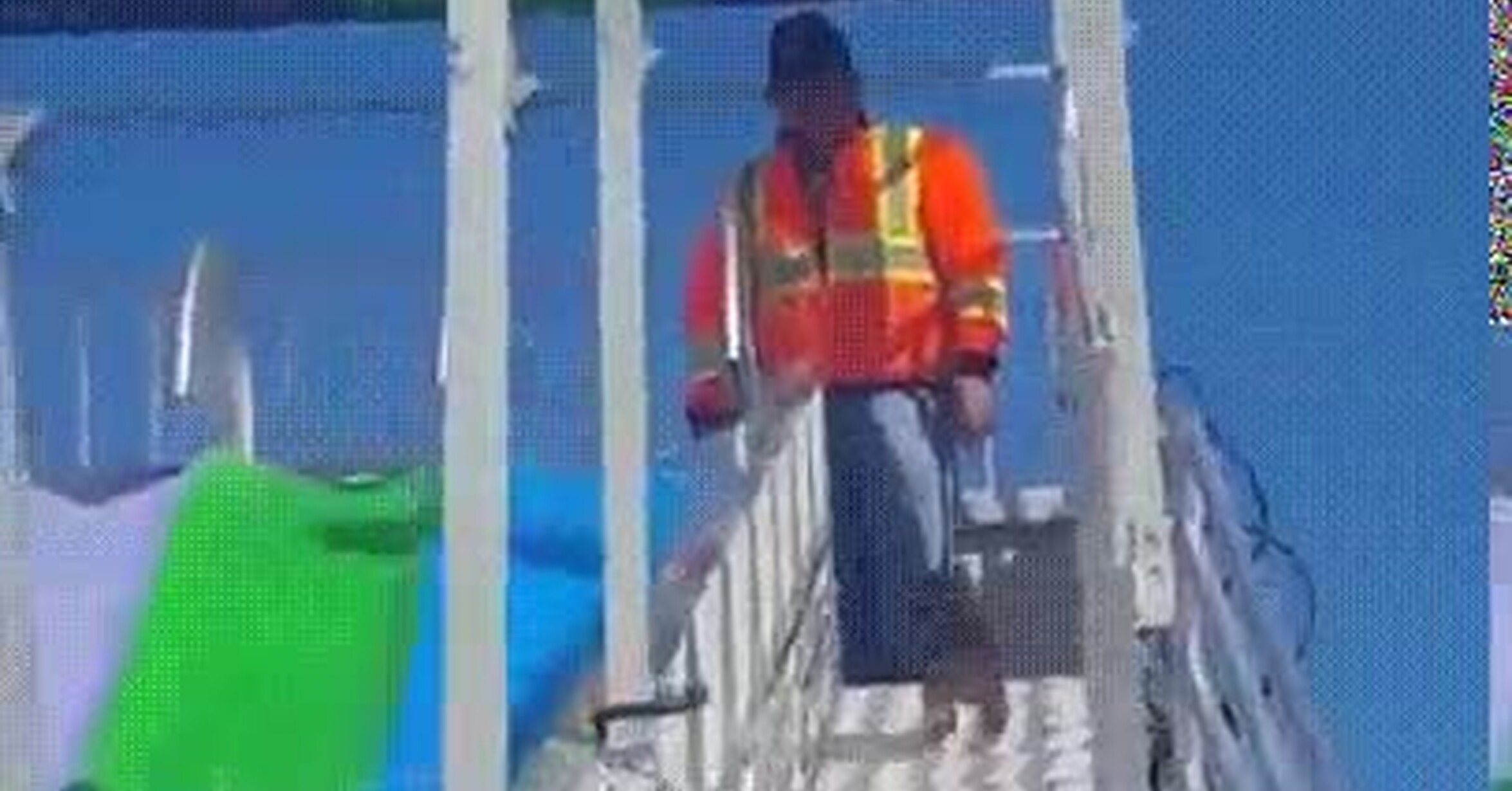 ¡Vaya GIF! / Un perro que se lo pasa genial en un tobogán