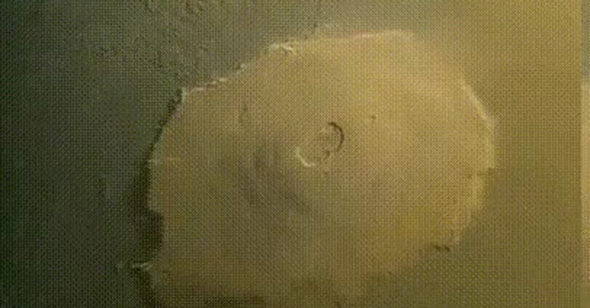 ¡Vaya GIF! / El monte Olimpo es la mayor montaña y volcán conocido del ...