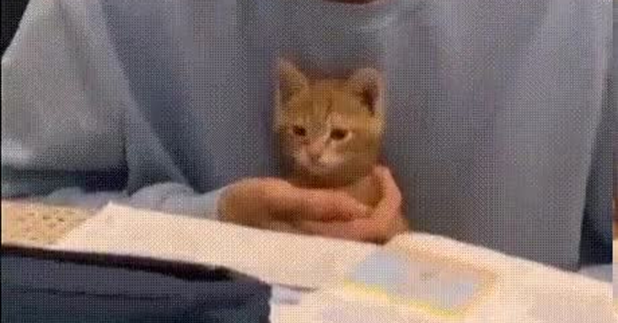 ¡Vaya GIF! / Estudiando juntos