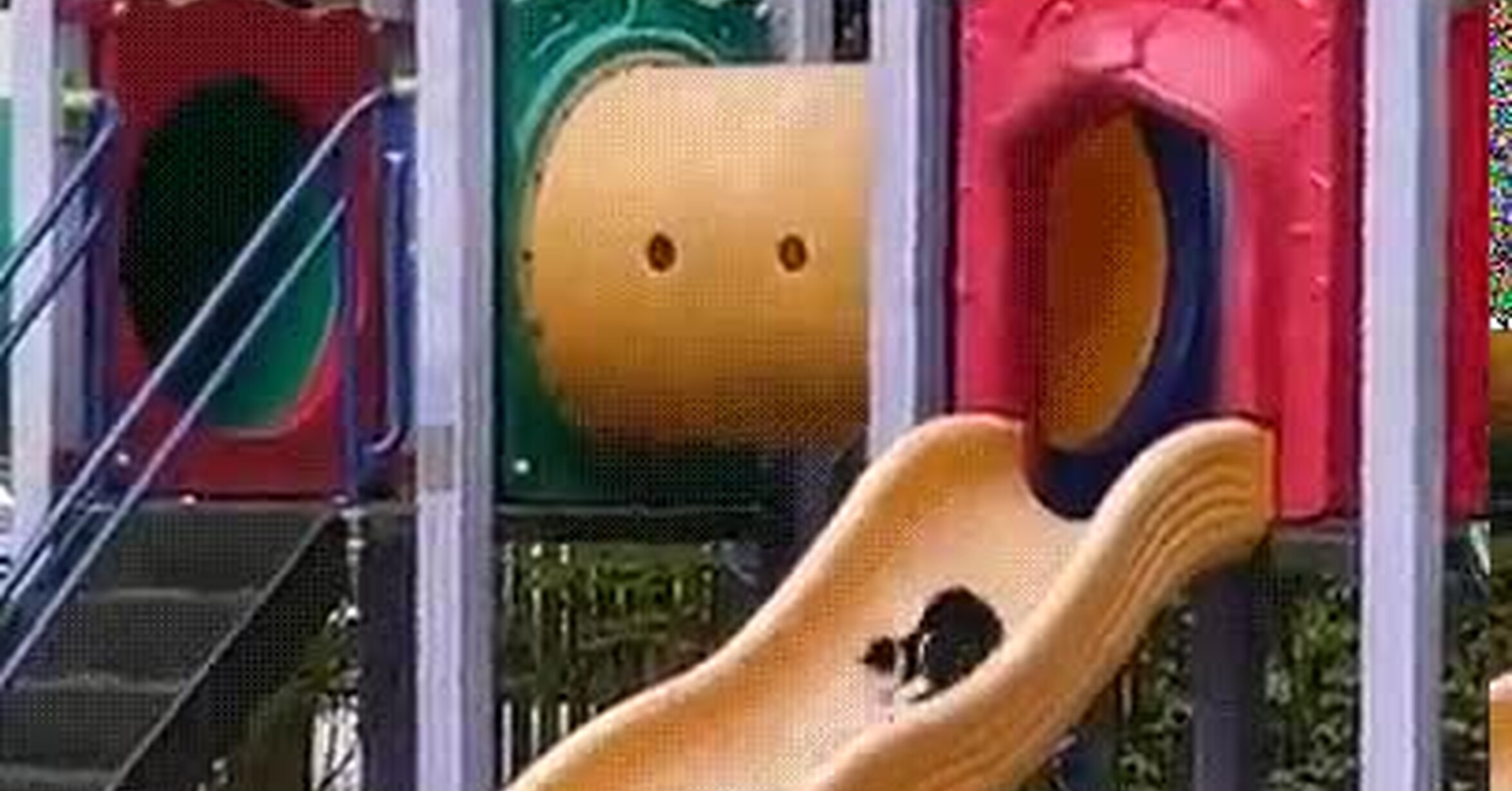 ¡Vaya GIF! / Un gato jugando en el tobogán de un parque