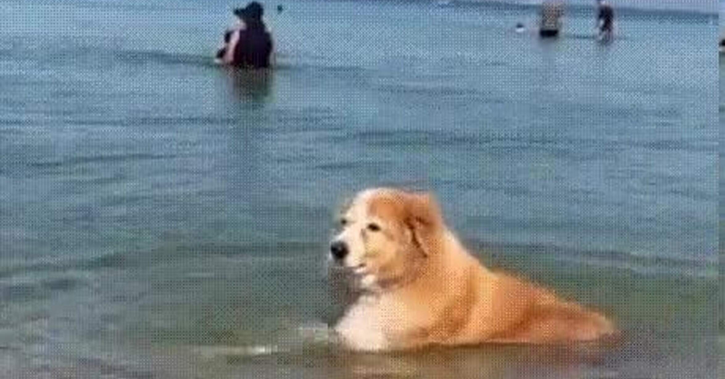 ¡Vaya GIF! / Su lugar favoriro para sentarse