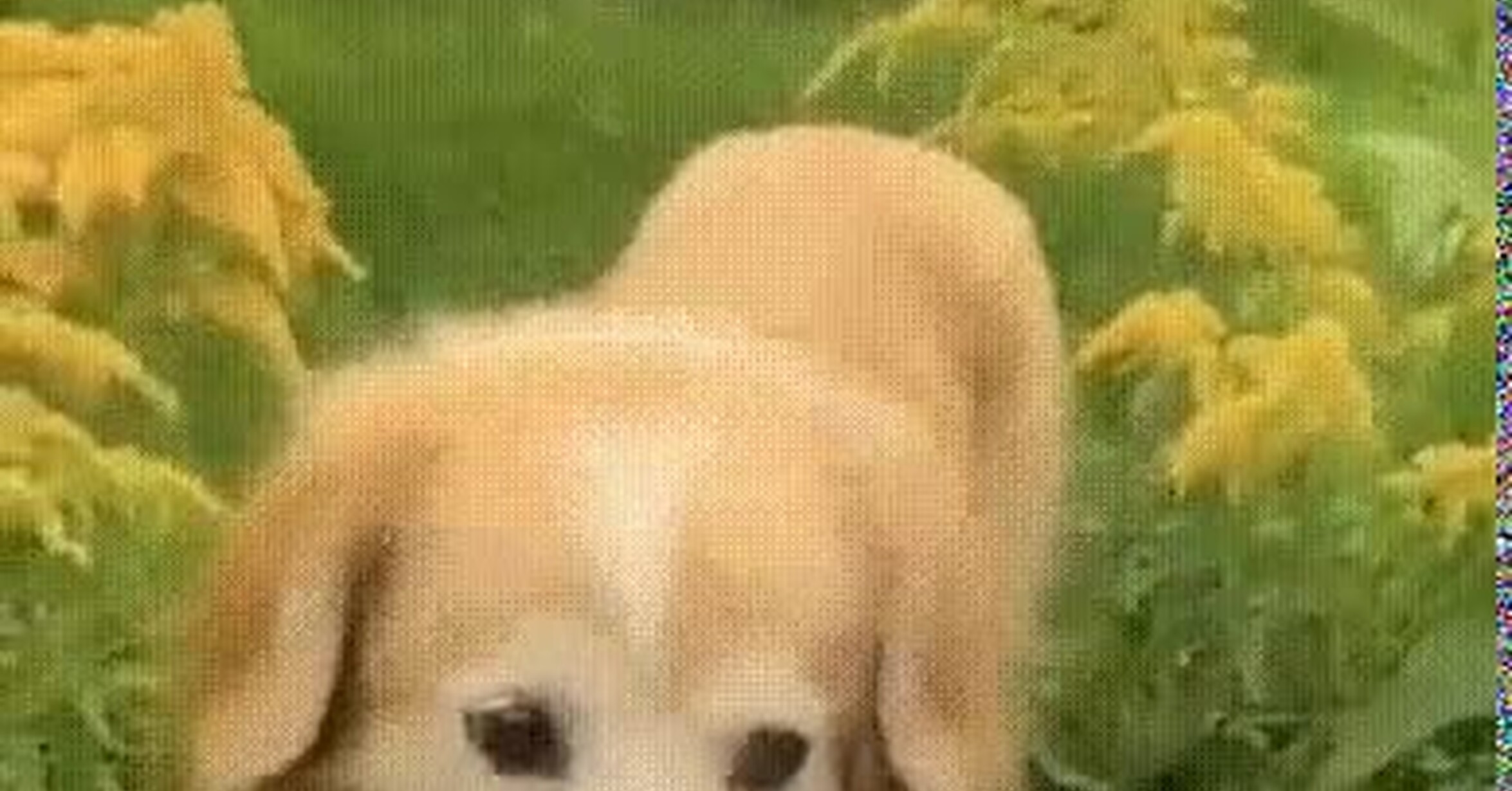 ¡Vaya GIF! / Le encanta escuchar música