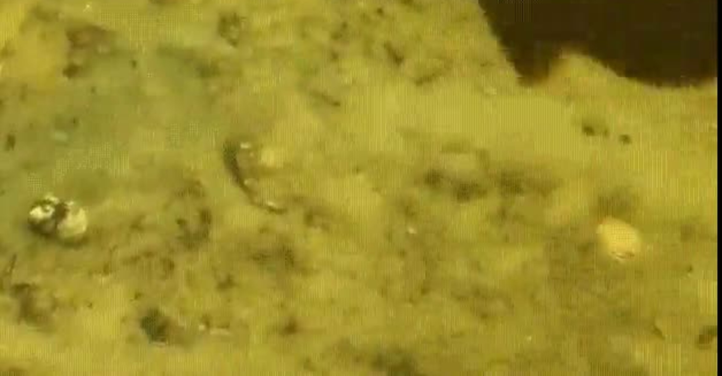 ¡Vaya GIF! / No le gusta que nadie lo toque