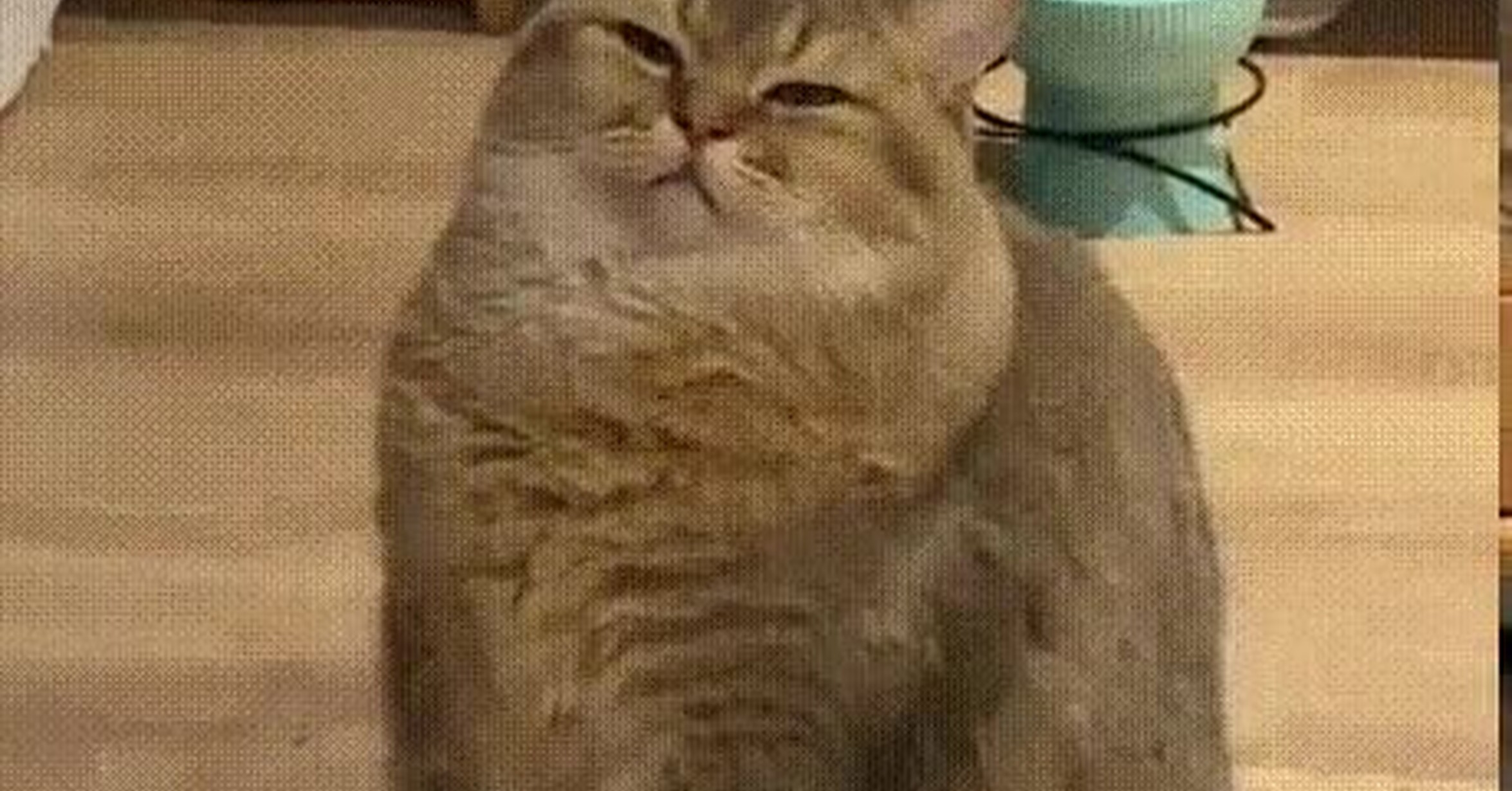 ¡Vaya GIF! / Tratando de mantenerme despierto en clase