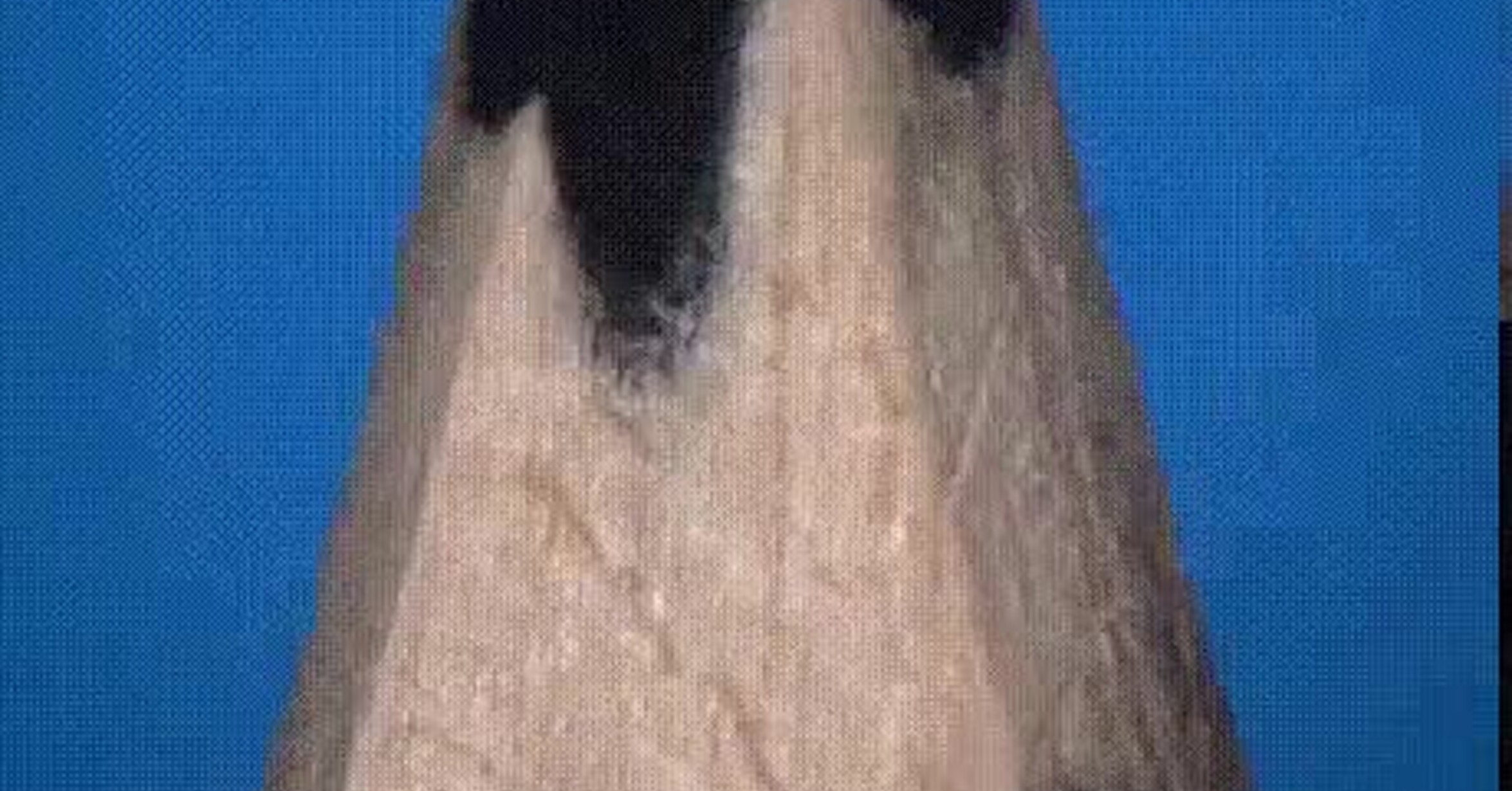 ¡Vaya GIF! / Nightwing en la punta de un lápiz