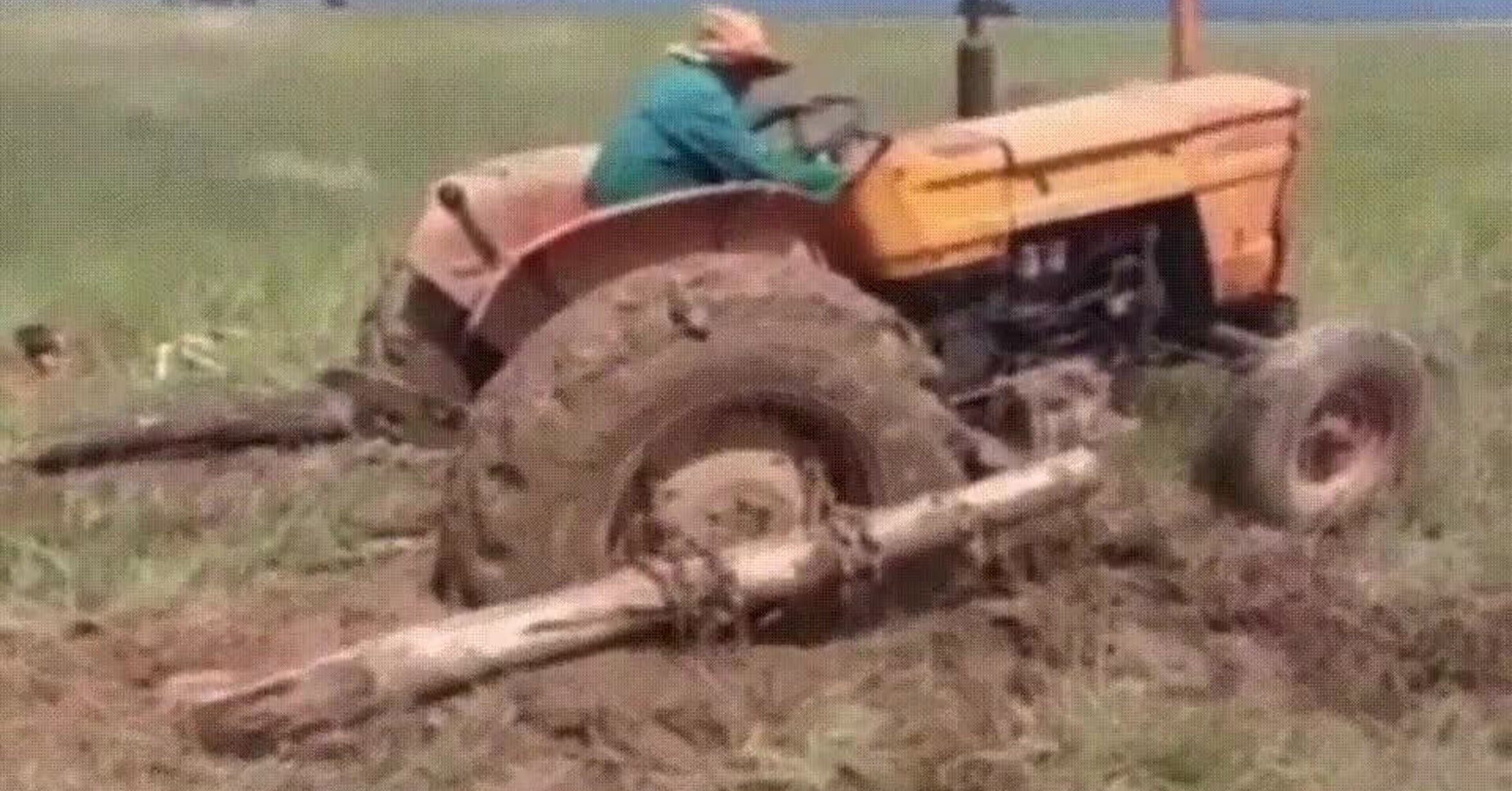 ¡Vaya GIF! / Vaya liada con el tractor