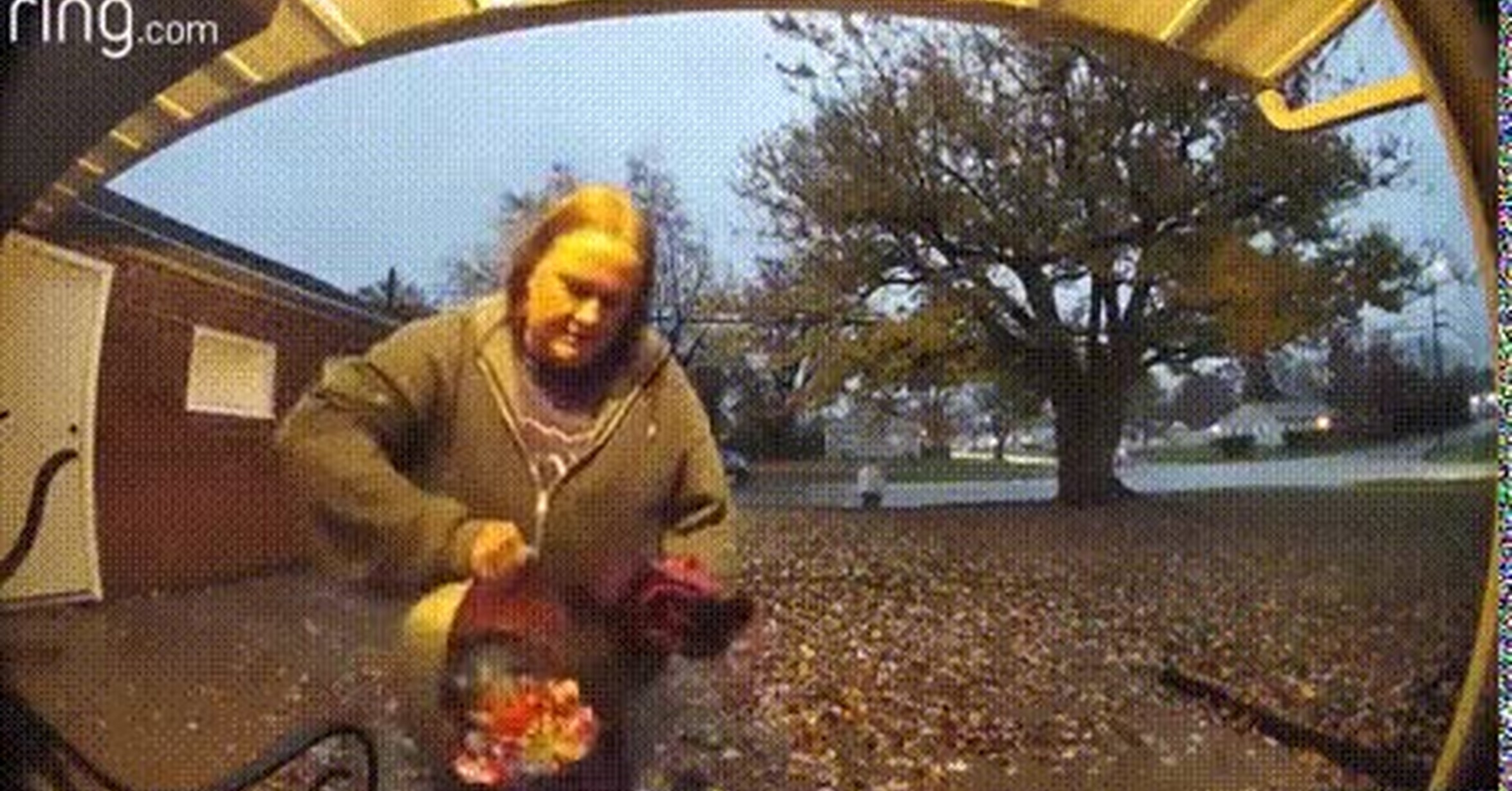 ¡Vaya GIF! / Hoy en gente que fue muy descarada en Halloween