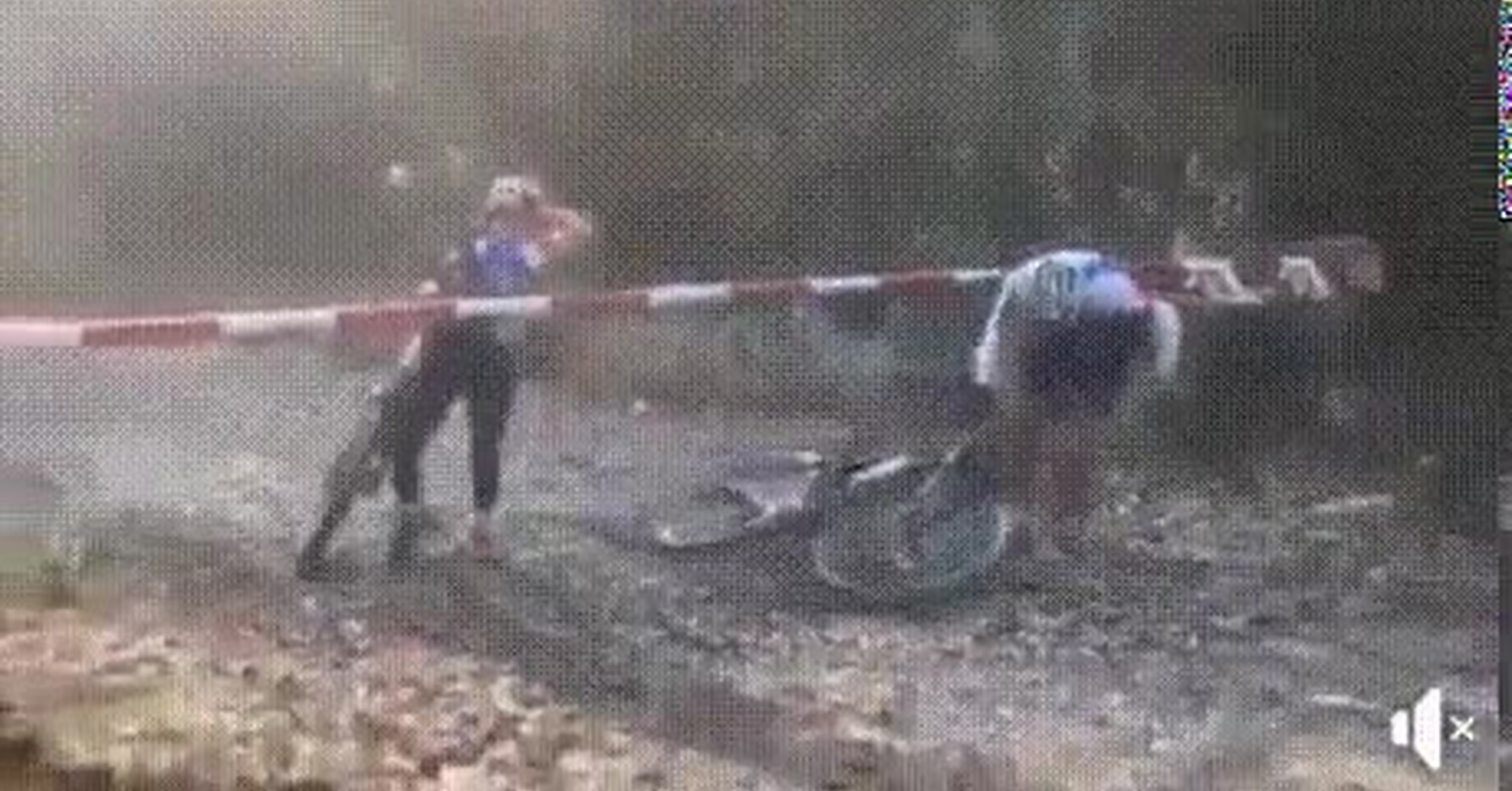 ¡Vaya GIF! / ¿Por qué no la pasa por debajo?