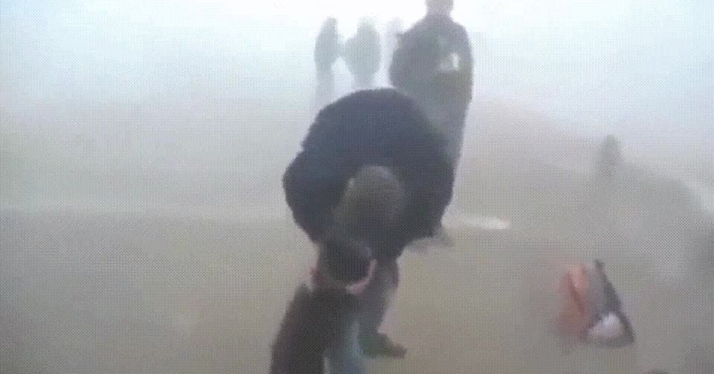 ¡Vaya GIF! / Ha salvado a un oso de un incendio y ahora son los mejores ...