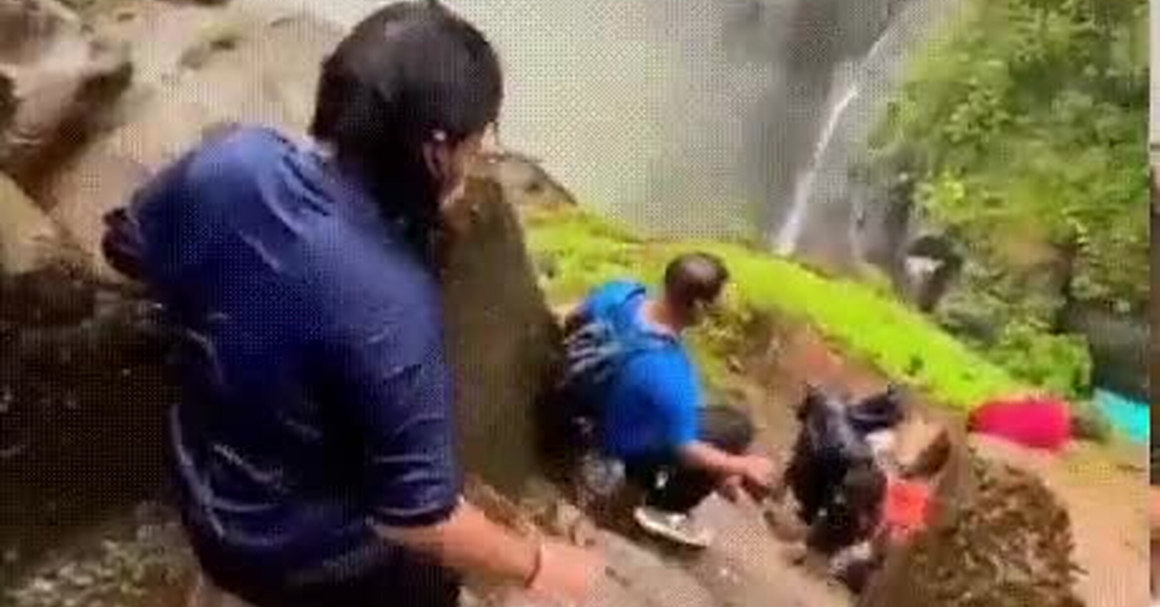 ¡Vaya GIF! / A un resbalón de una muerte segura