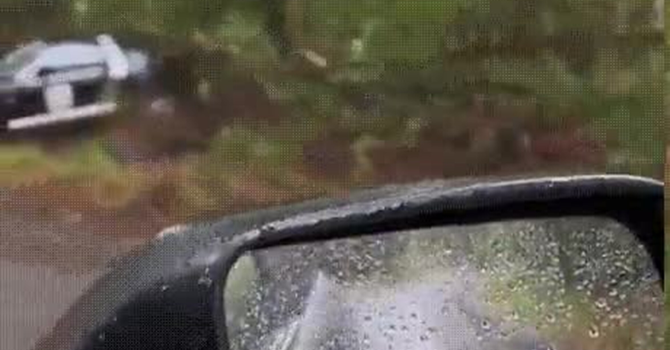 ¡Vaya GIF! / Se ha parado solo para mirar el coche