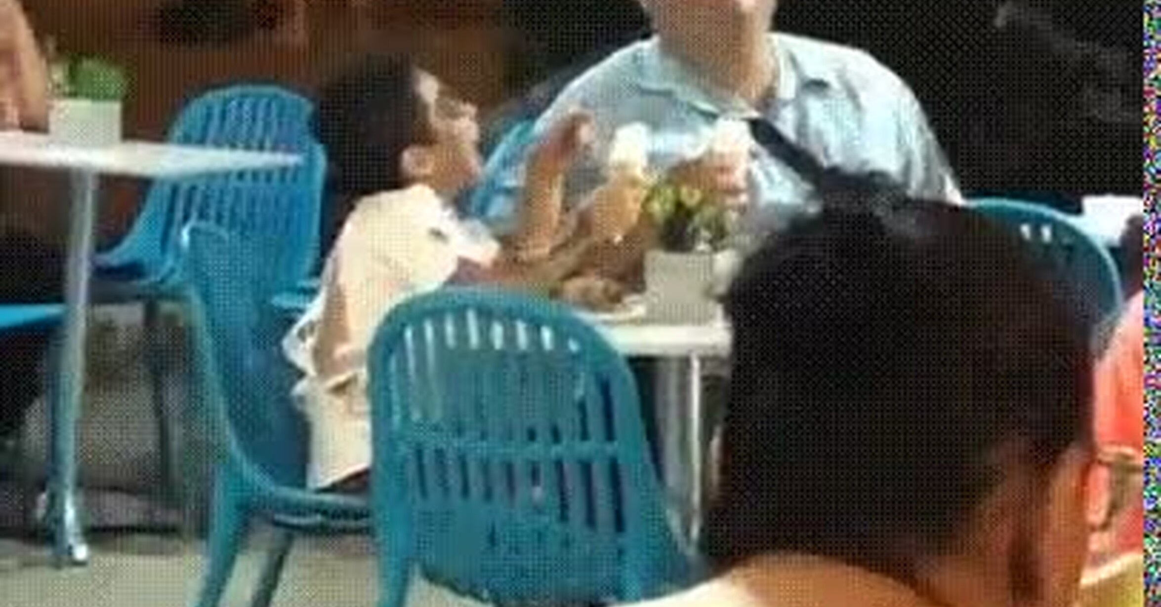 ¡Vaya GIF! / El niño no lo sabe pero cuando sea mayor lo recordará como ...