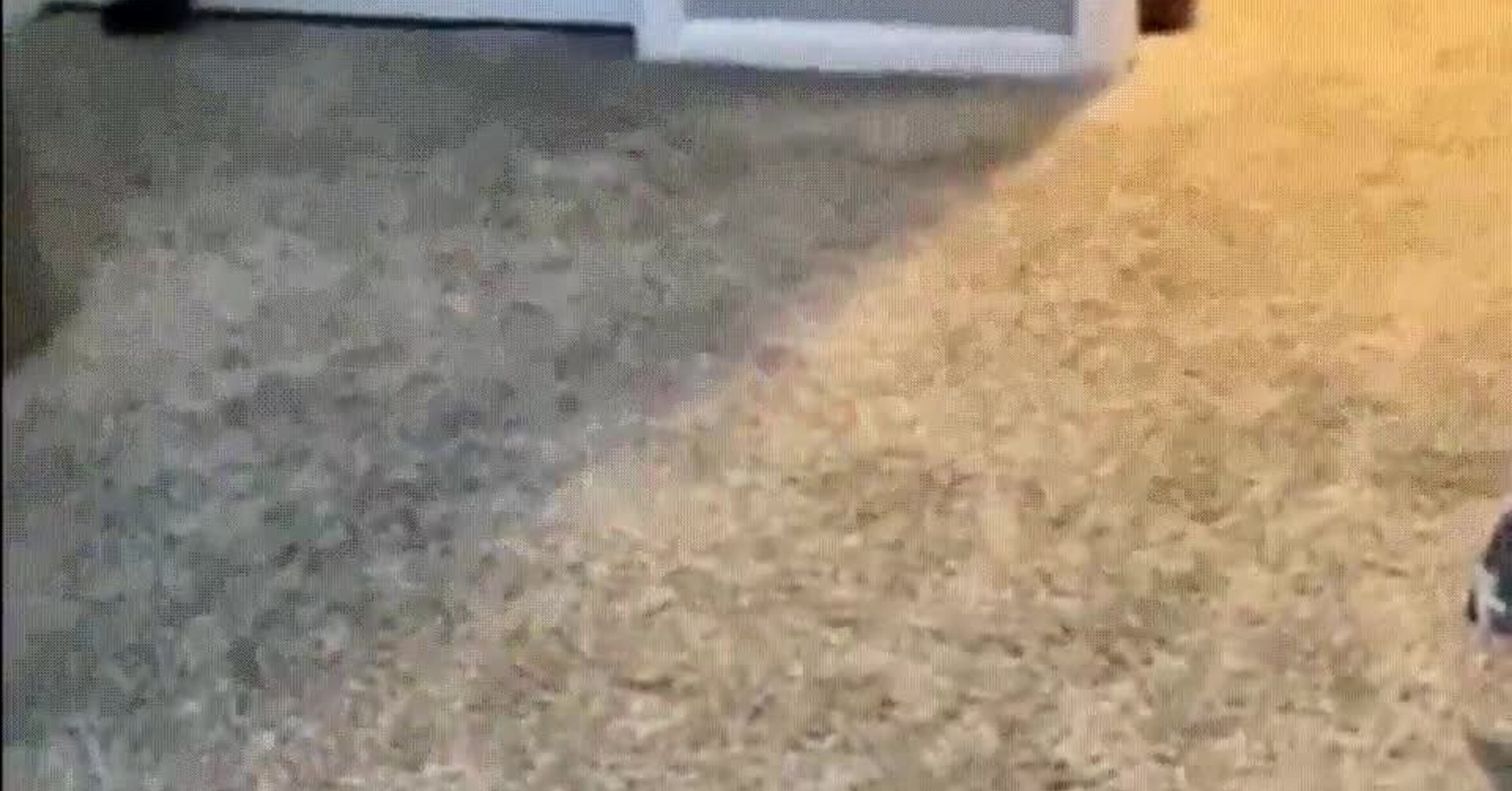 ¡Vaya GIF! / Cuando llegas a casa cansado y con ganas de meterte en la cama