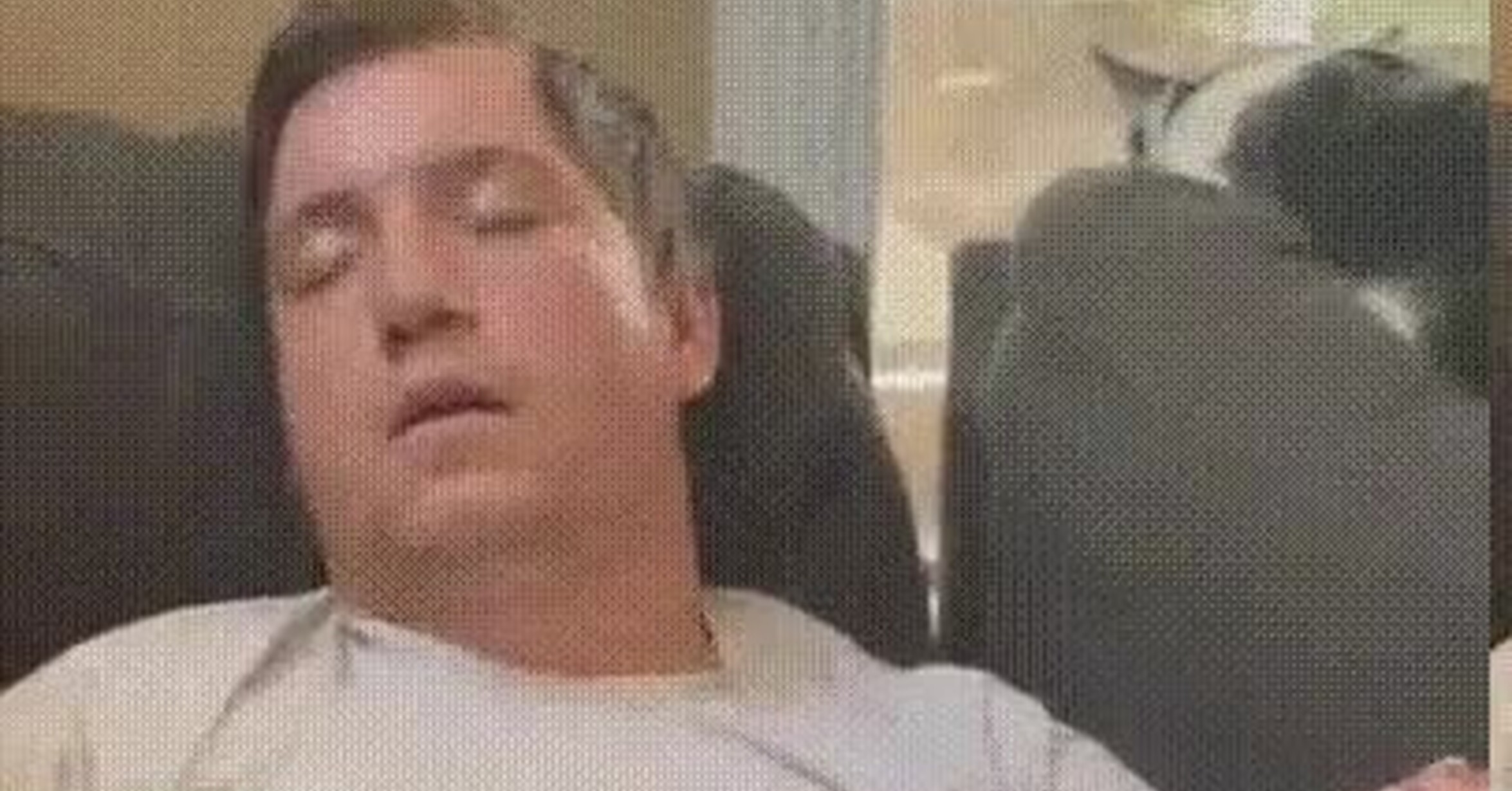 ¡Vaya GIF! / La siesta familiar es lo mejor del día