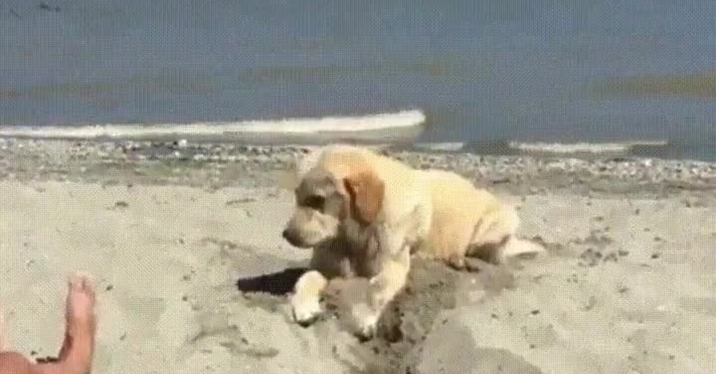 ¡Vaya GIF! / Se ha terminado la hora del descanso