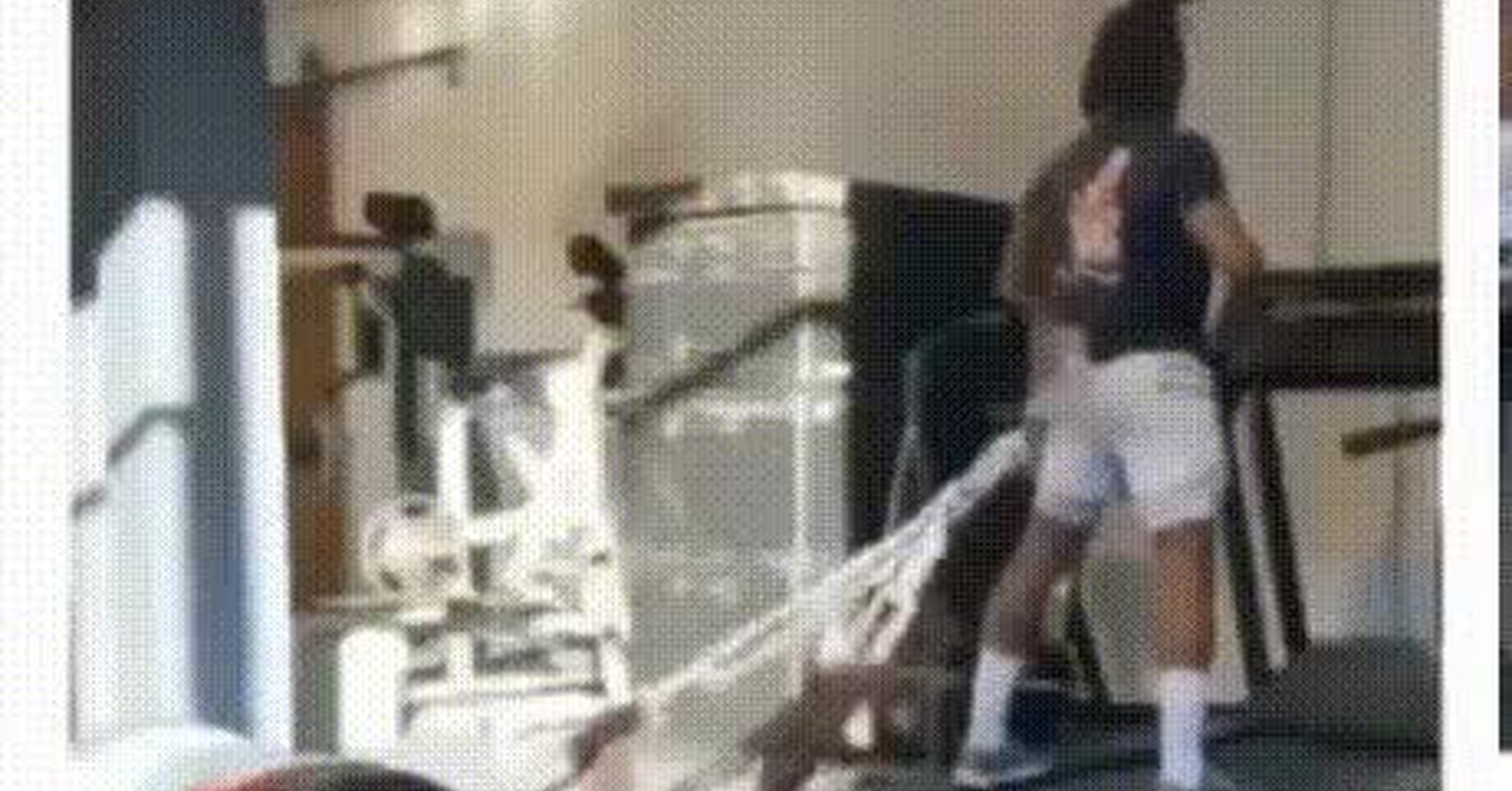 ¡Vaya GIF! / El enternamiento más inútil que he visto nunca