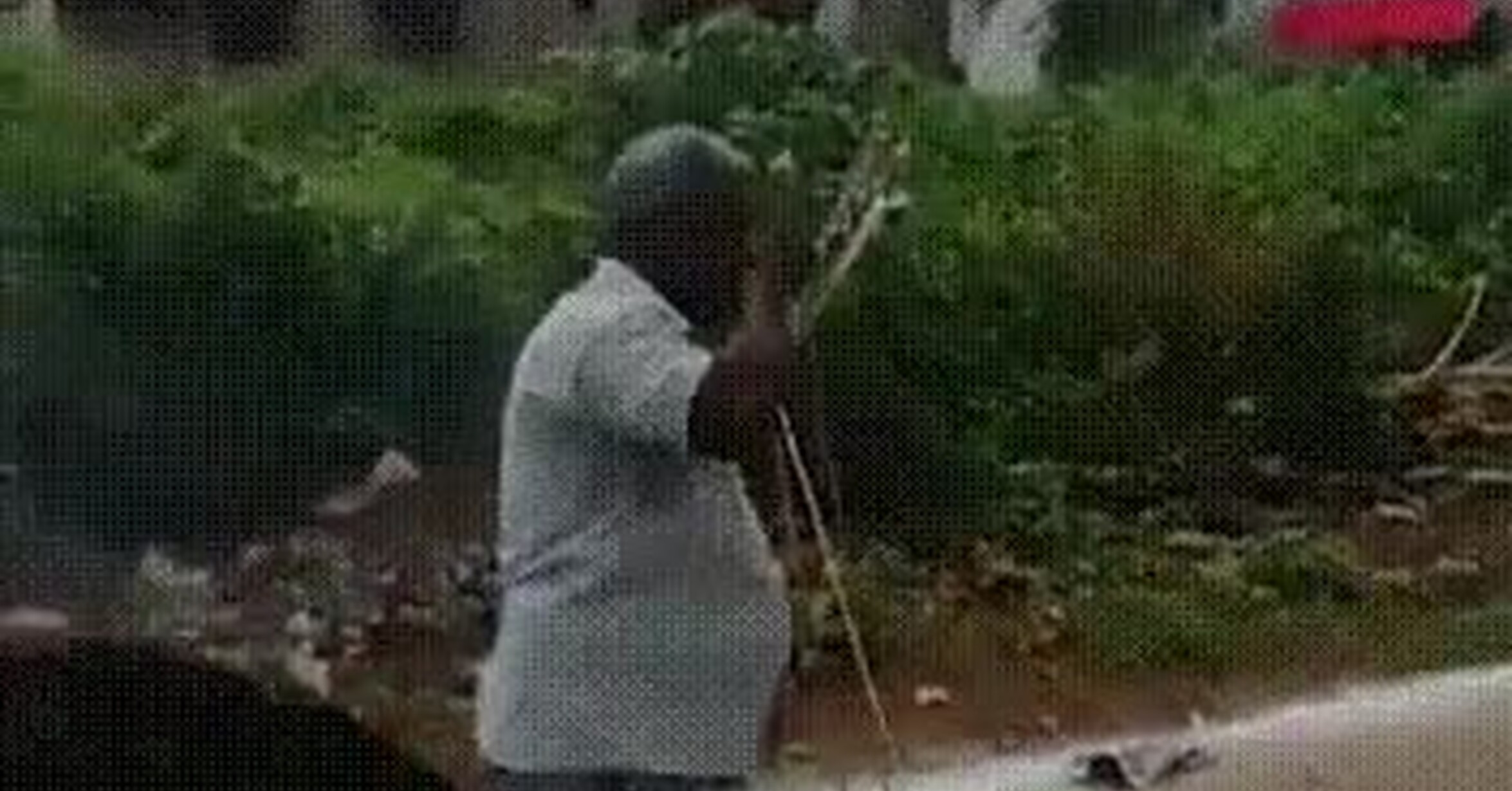 ¡Vaya GIF! / Celebrando pero no mucho