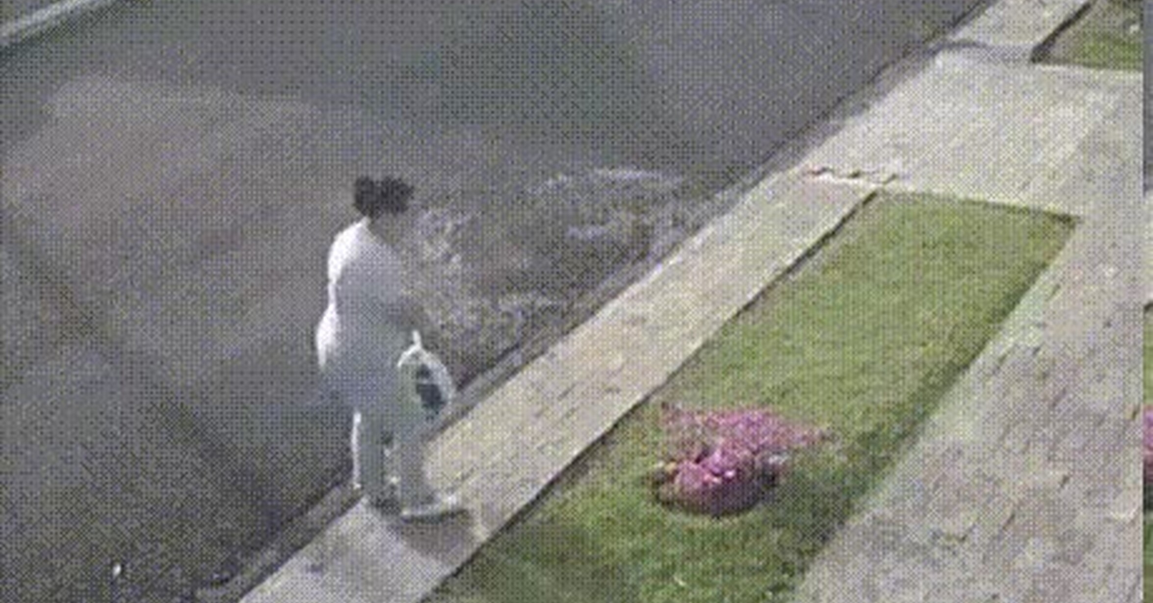 ¡Vaya GIF! / Seguimos con la racha de horribles vecinos