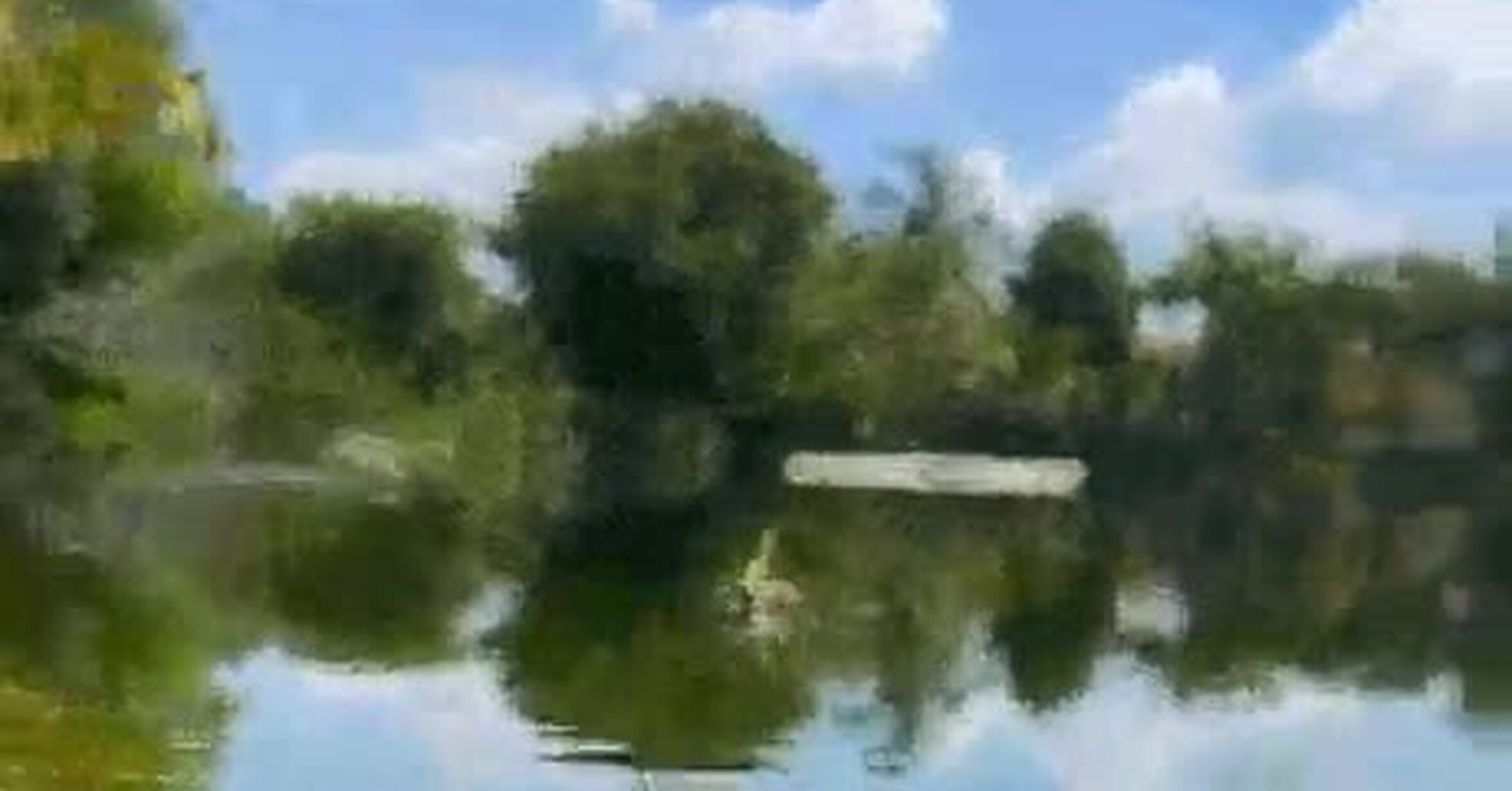 ¡Vaya GIF! / Lo que se esconde debajo del agua