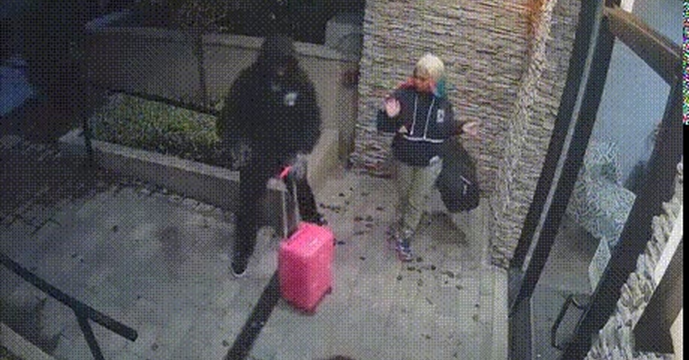 ¡Vaya GIF! / Fueron robadas en solo 30 segundos...