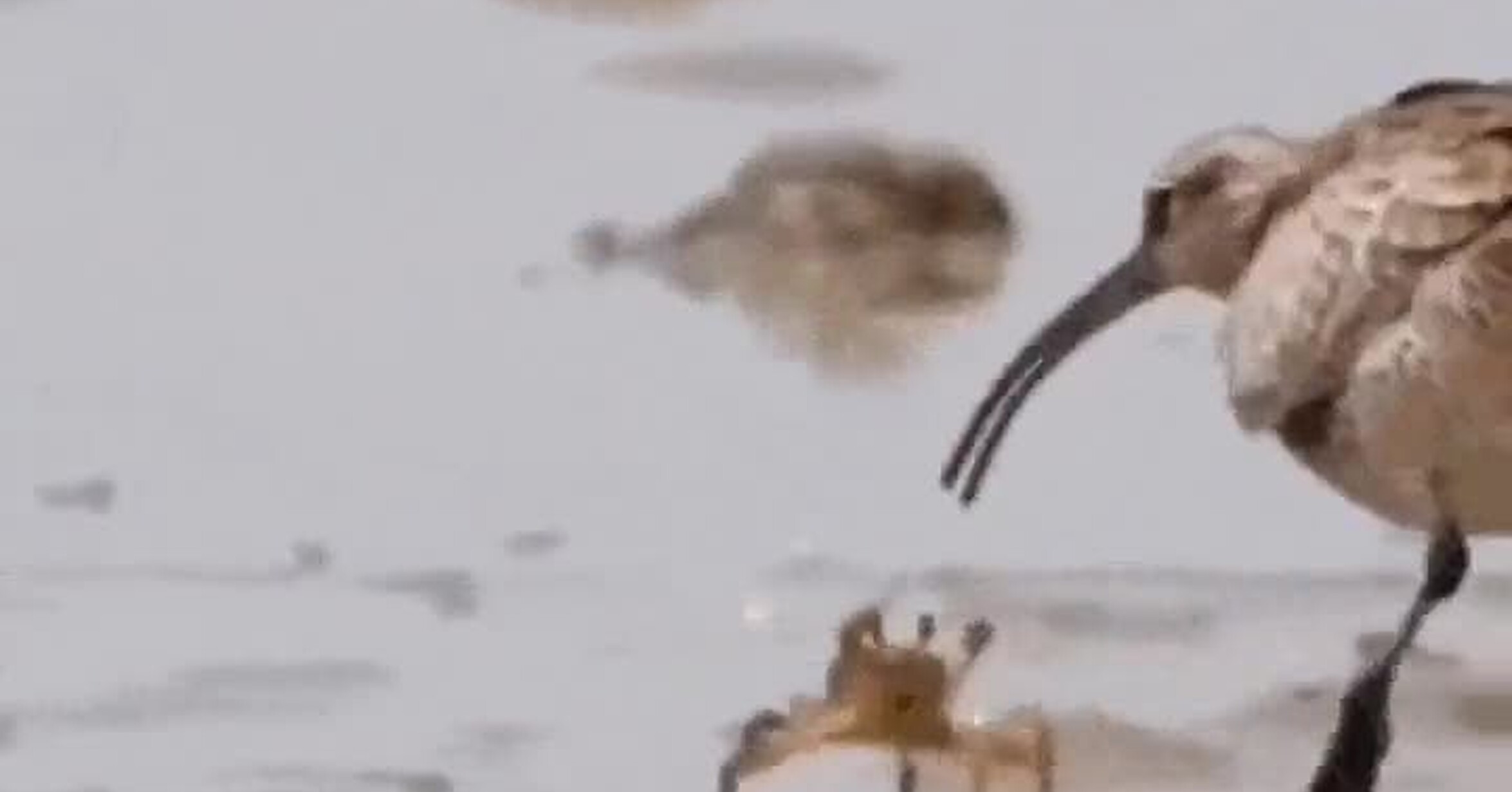 ¡Vaya GIF! / Lo que se siente al luchar contra un boss en Dark Souls