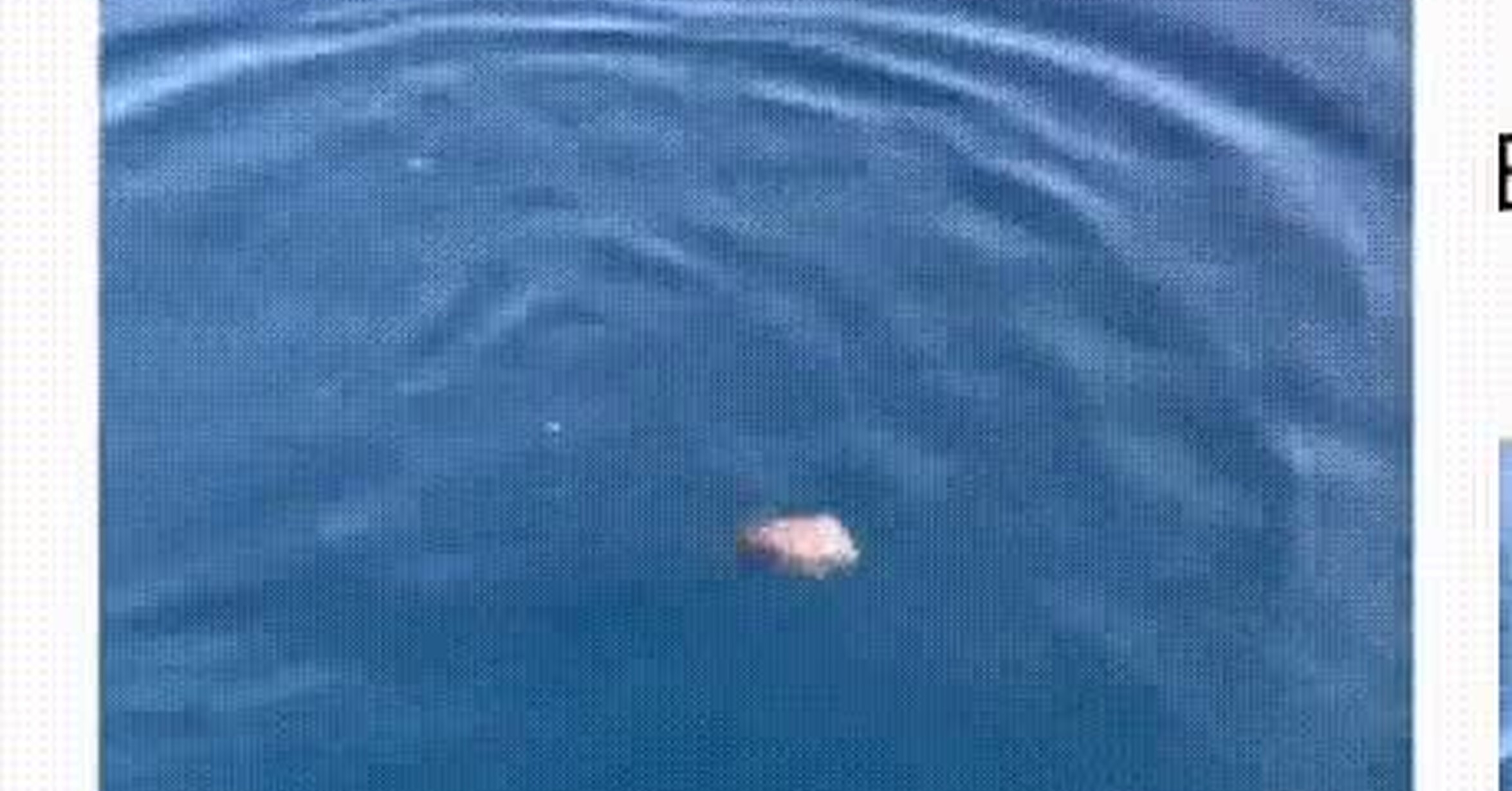 ¡Vaya GIF! / Me explota la cabeza como no mueve la superficie del agua