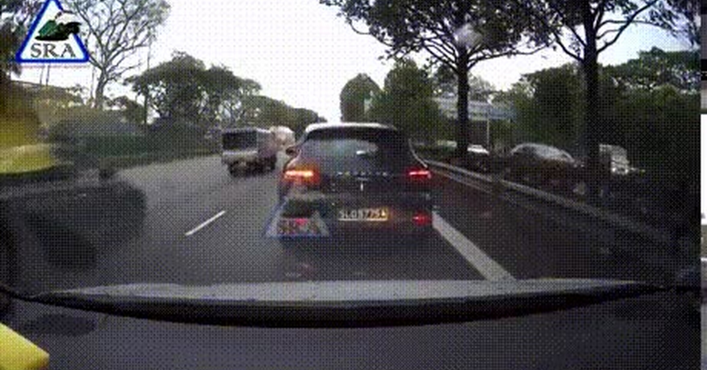 ¡Vaya GIF! / 2X Combo en 30 segundos