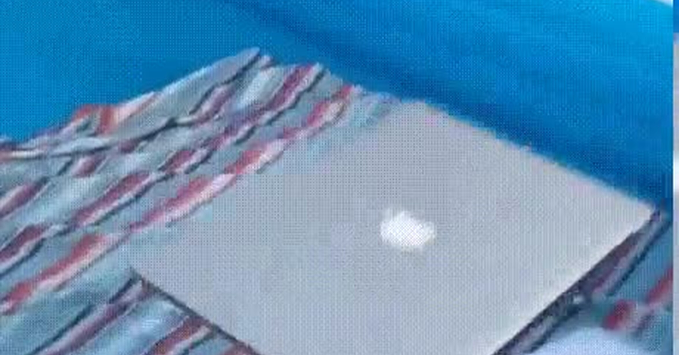 ¡Vaya GIF! / Natural selection