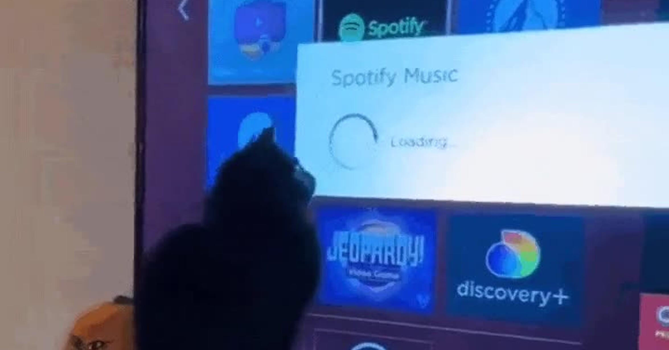 ¡Vaya GIF! / Lleva así toda la tarde