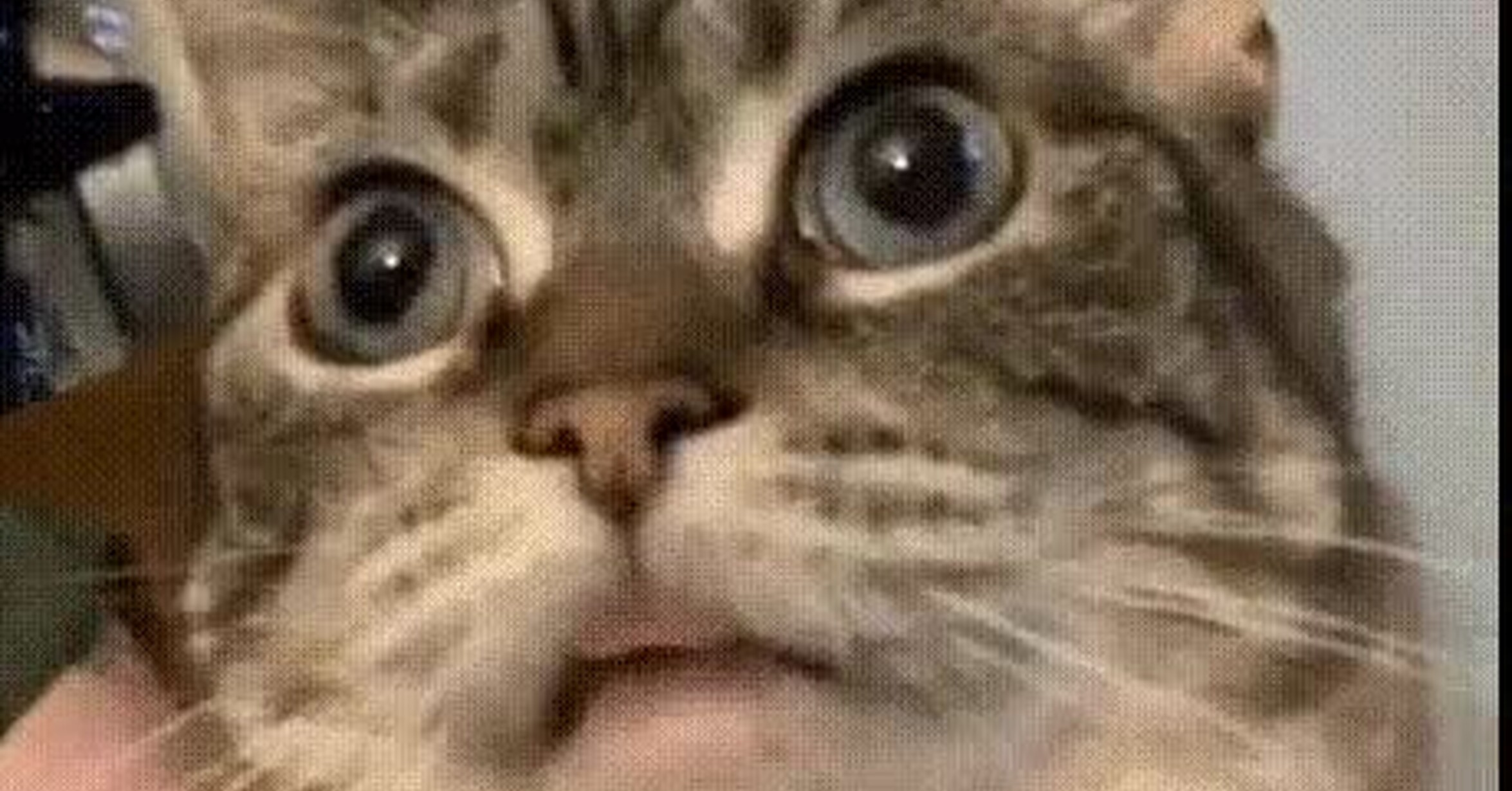 ¡Vaya GIF! / ¿Alguna vez te han contado algo muy loco y te has quedado así?