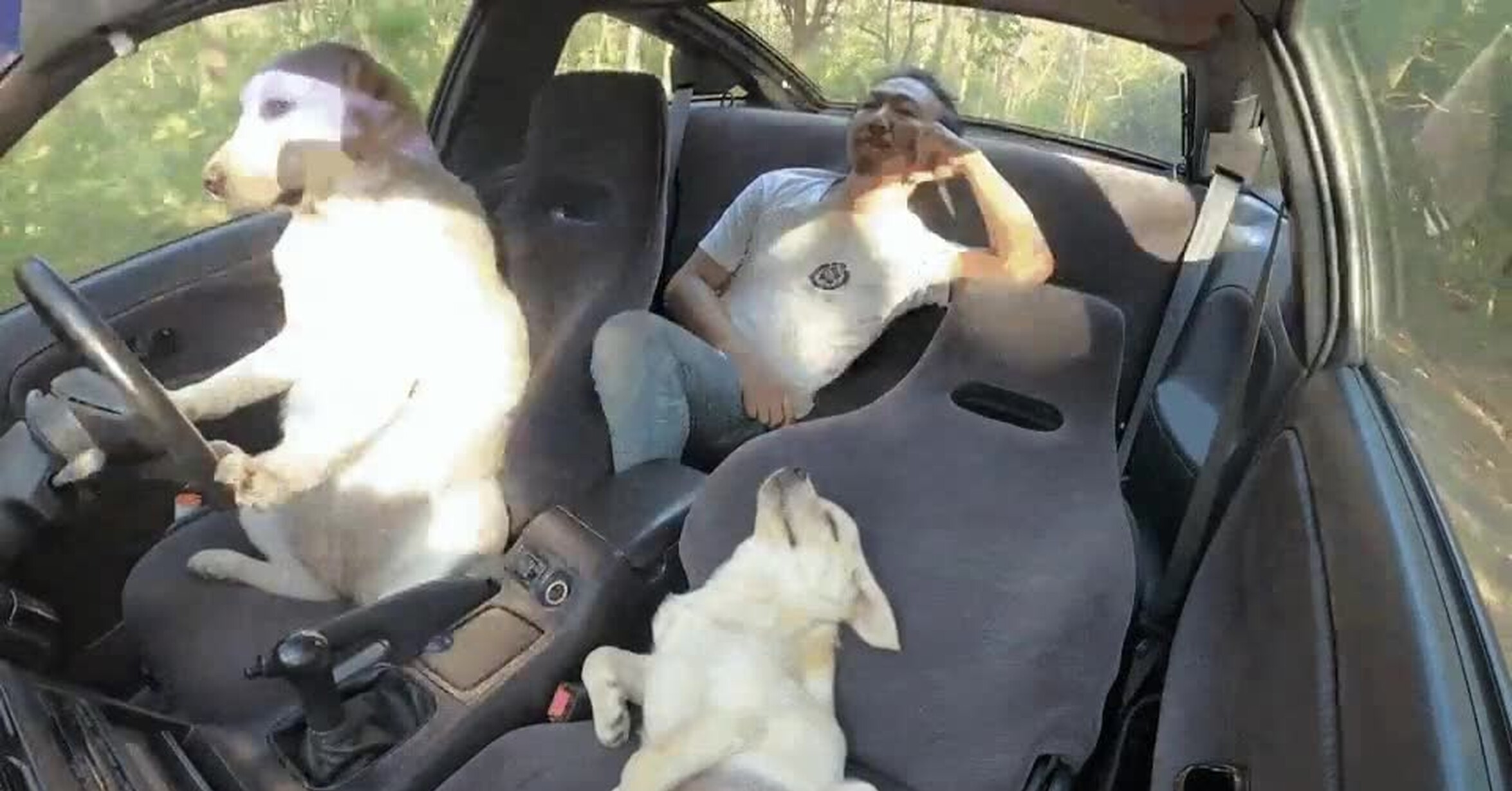¡Vaya GIF! / El típico viaje familiar con la mujer y el hijo