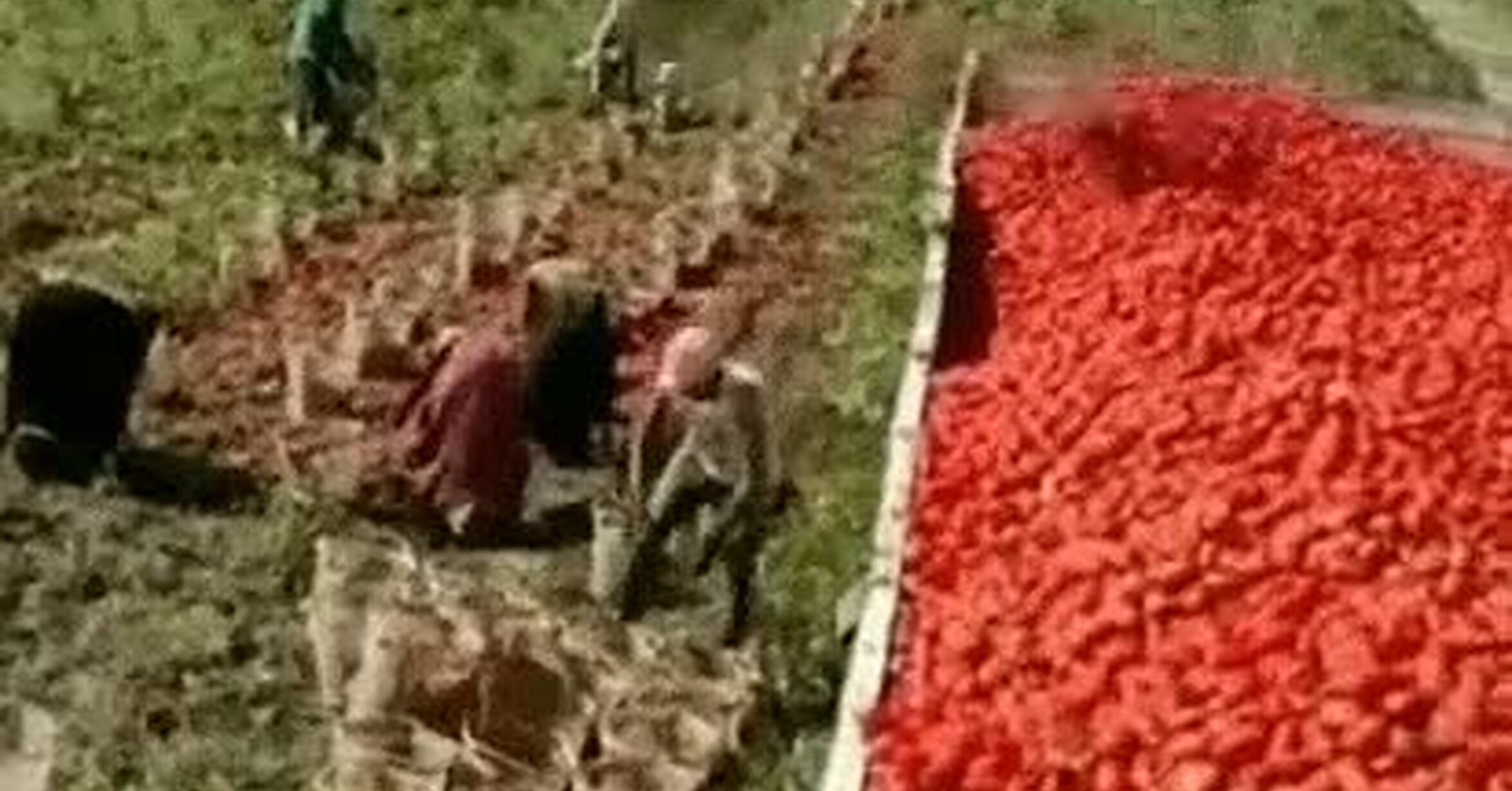 ¡Vaya GIF! / Cada vez que lo veo me explota la cabeza