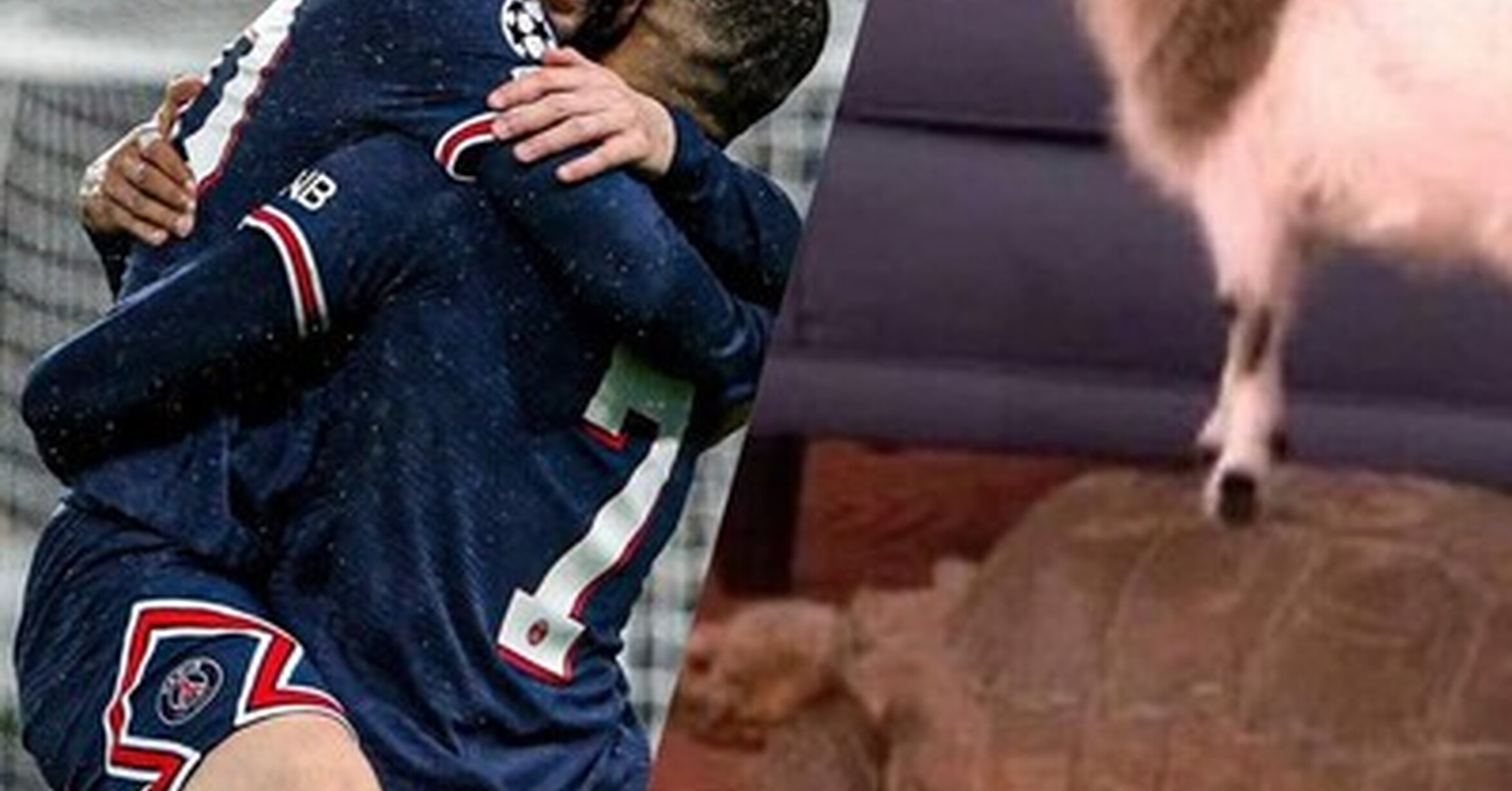 [ MEMEDEPORTES ] Como todos lo ven / Como yo los veo