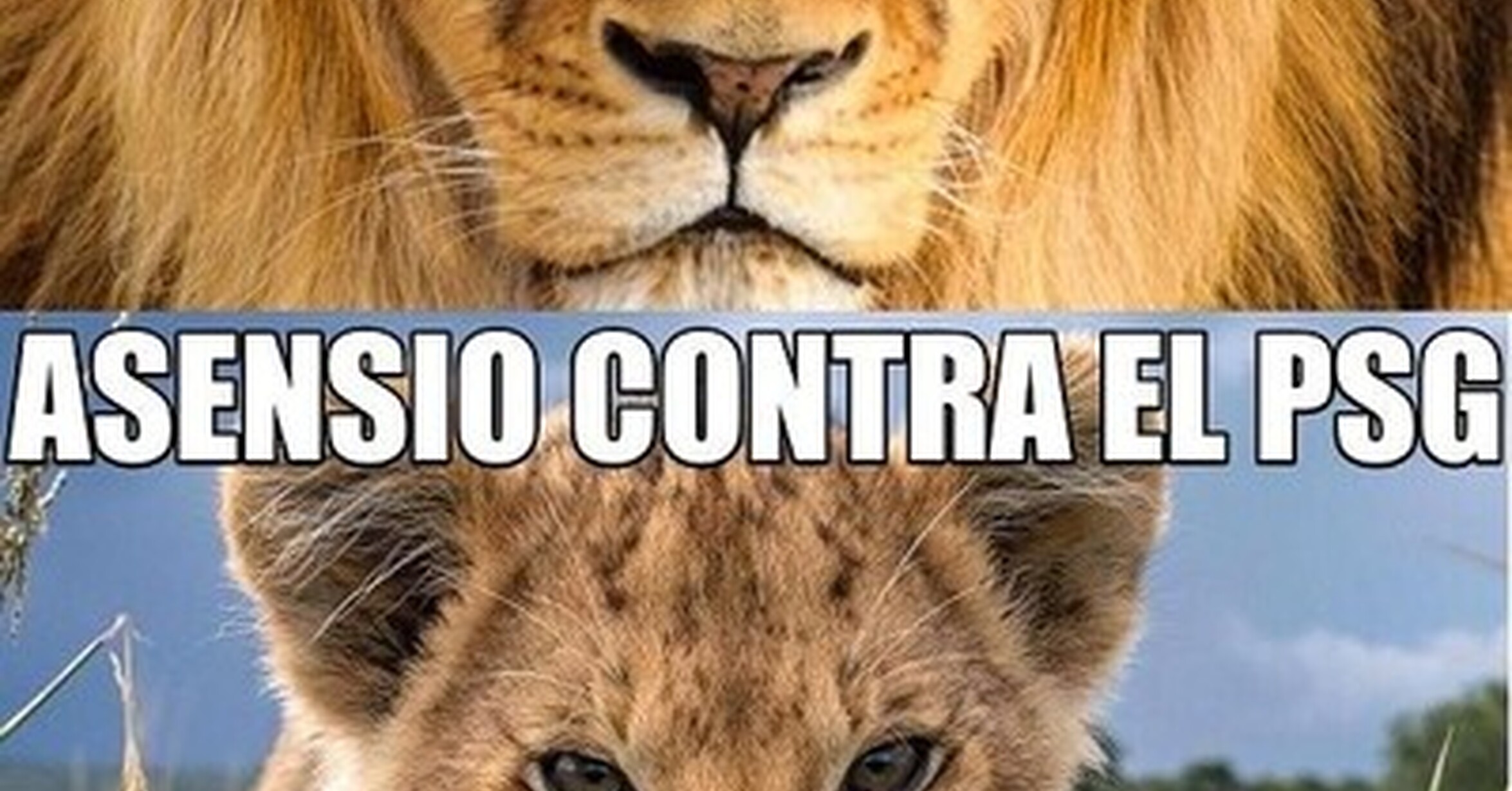 [ MEMEDEPORTES ] Asensio o Ausencio esa es la cuestión..