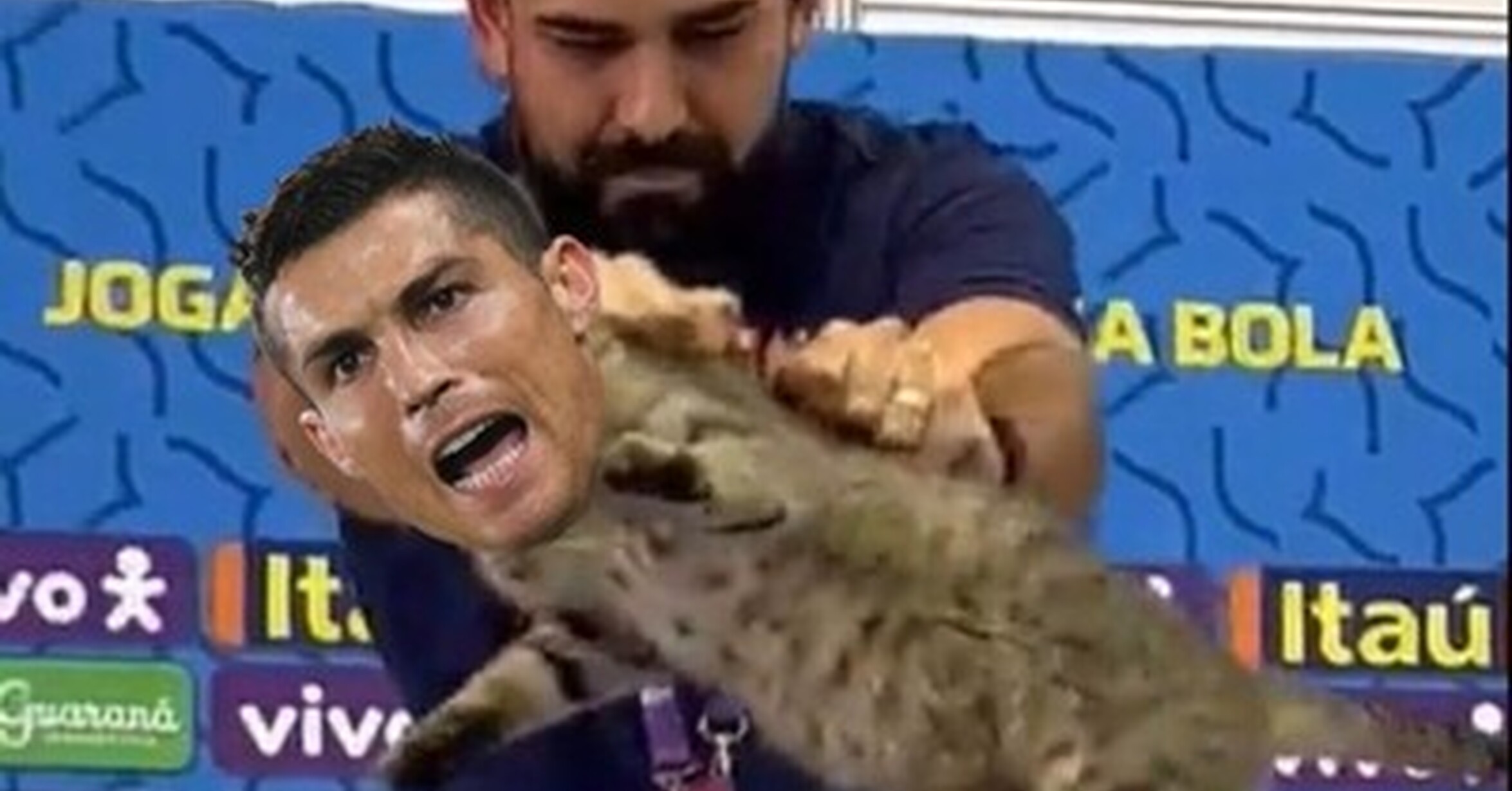 [ MEMEDEPORTES ] Calma Bicho, los de siempre estamos con você!