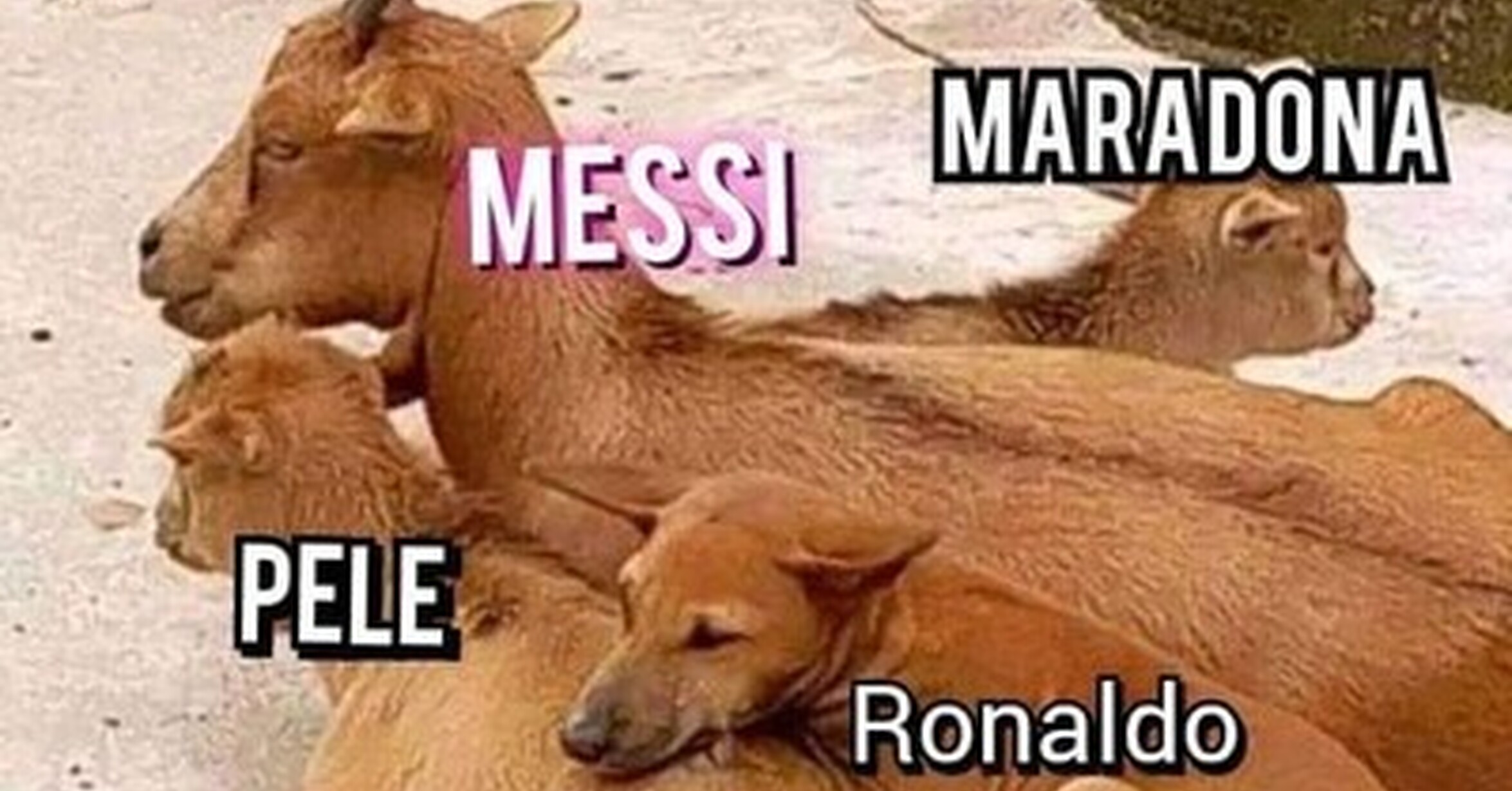 [ MEMEDEPORTES ] El podio del olimpo