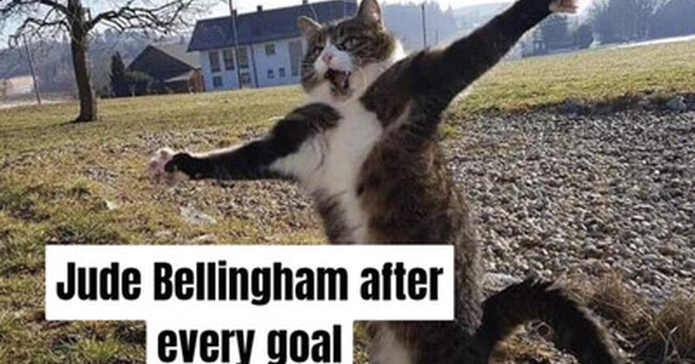 [ MEMEDEPORTES ] Simplemente Bellingham