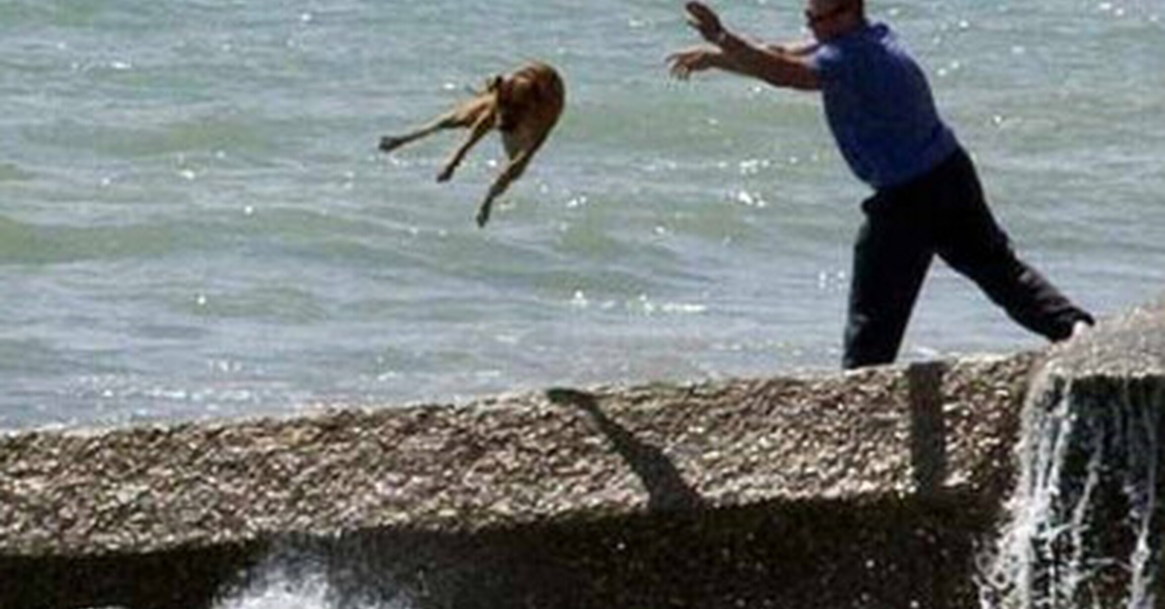 [ MEMEDEPORTES ] Adiós jardinero, regresa pronto