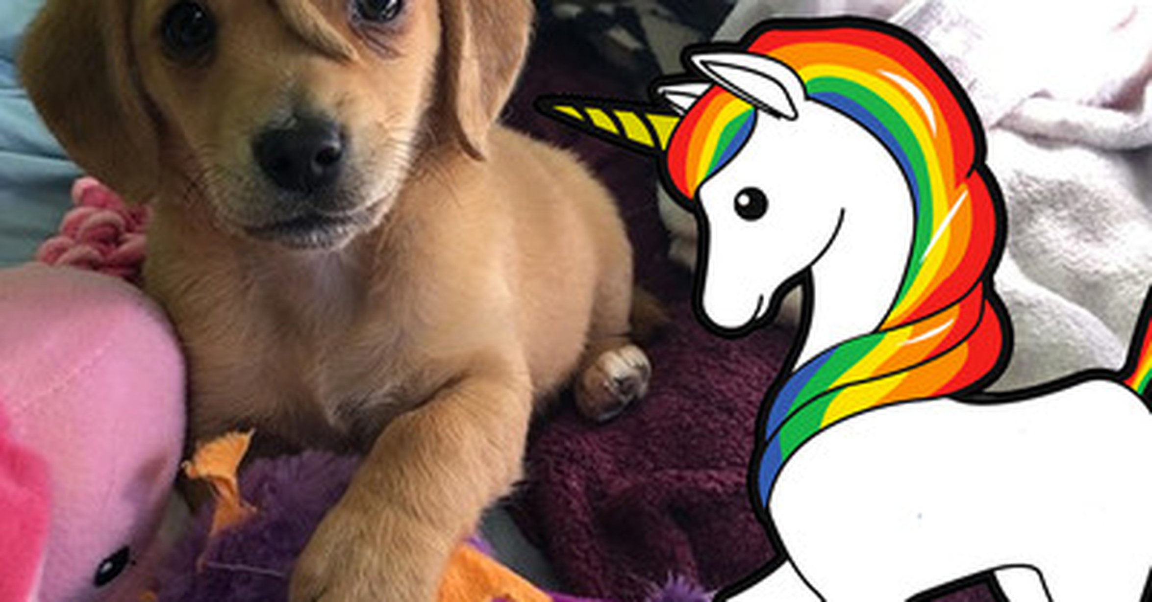 VEF > Visto en las Redes > Las redes sociales se vuelven locas con este ...